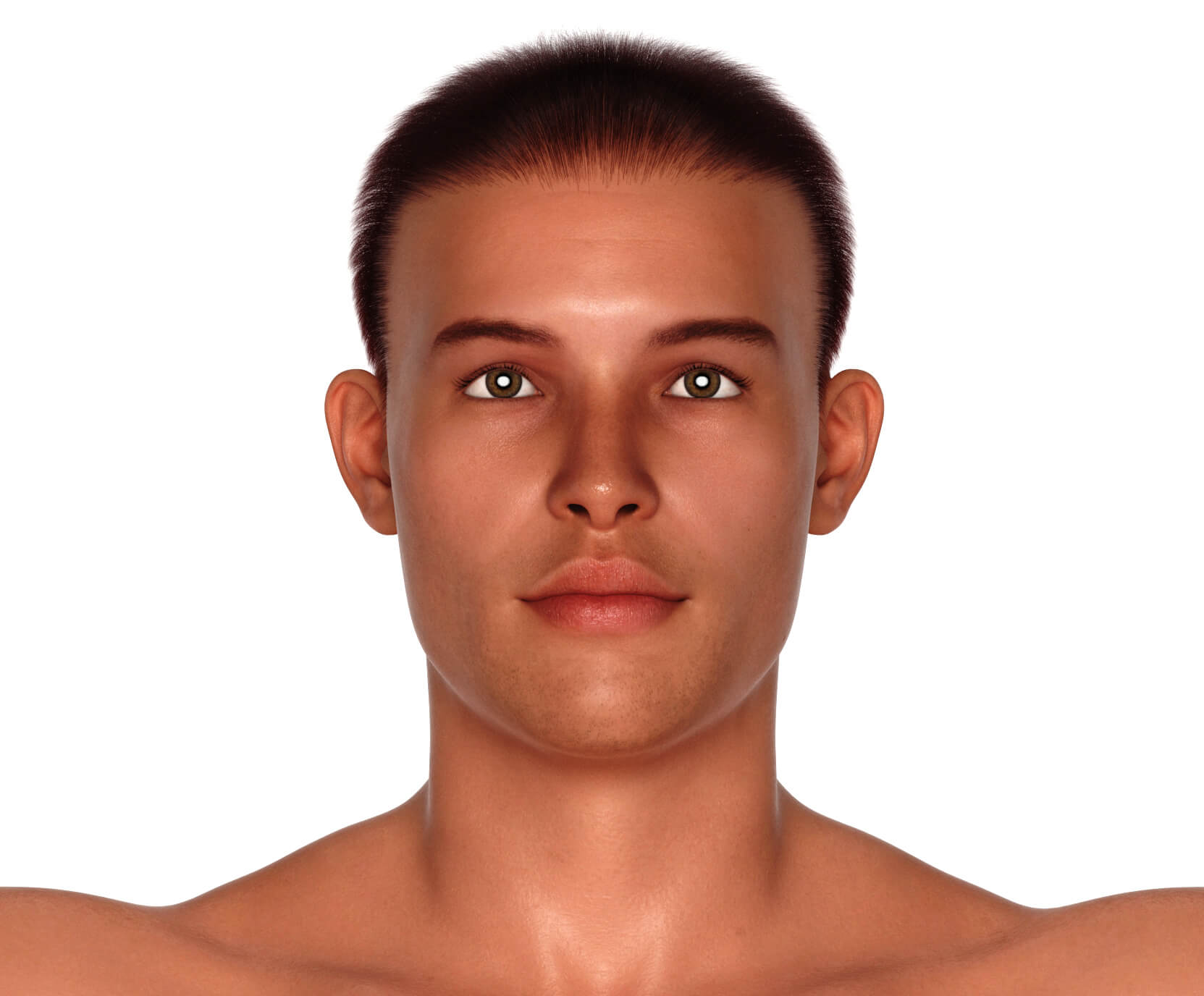 Frank 3D Male by DennyCG