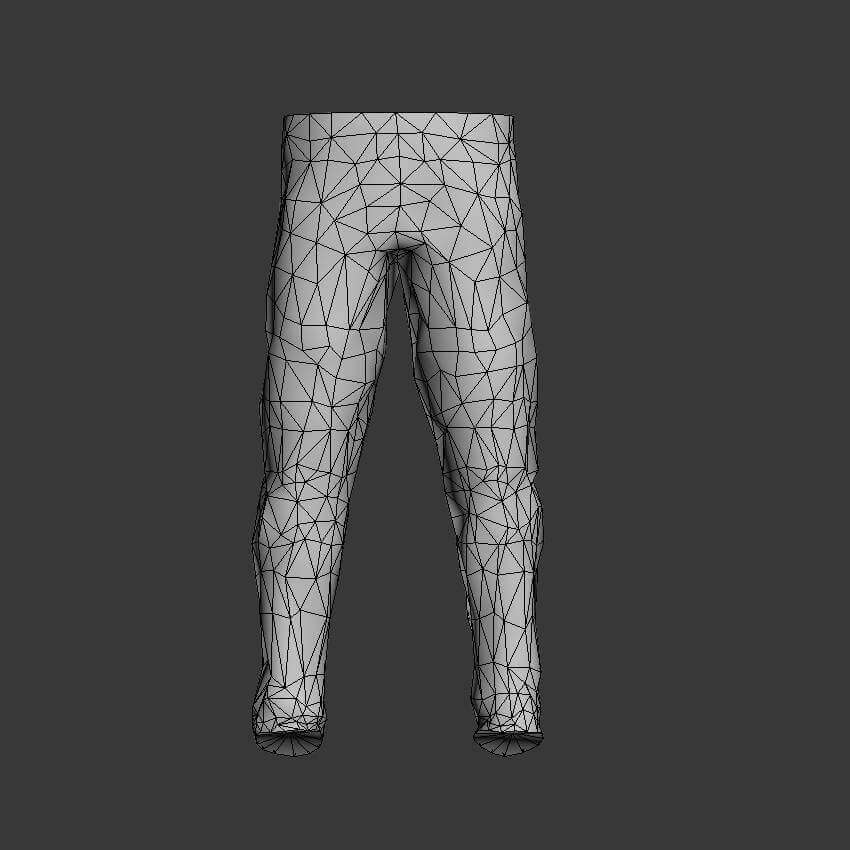Pants - 3D Model by Derdent