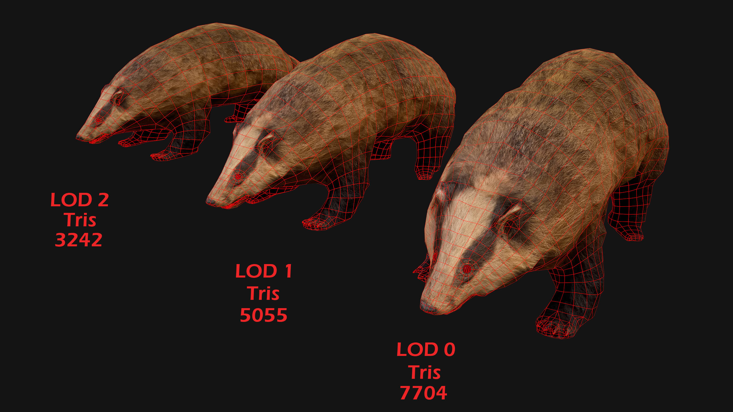 Badger Wild Animal - 3D Model by Dereza