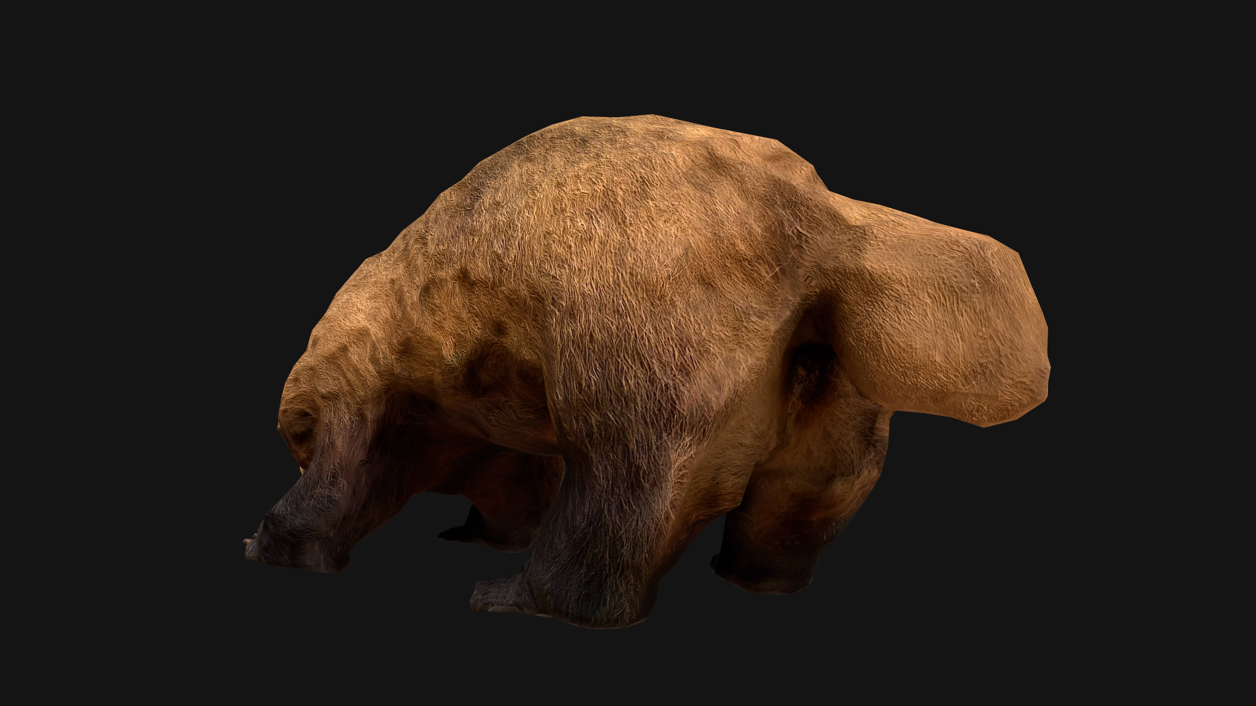 Badger Wild Animal - 3D Model by Dereza