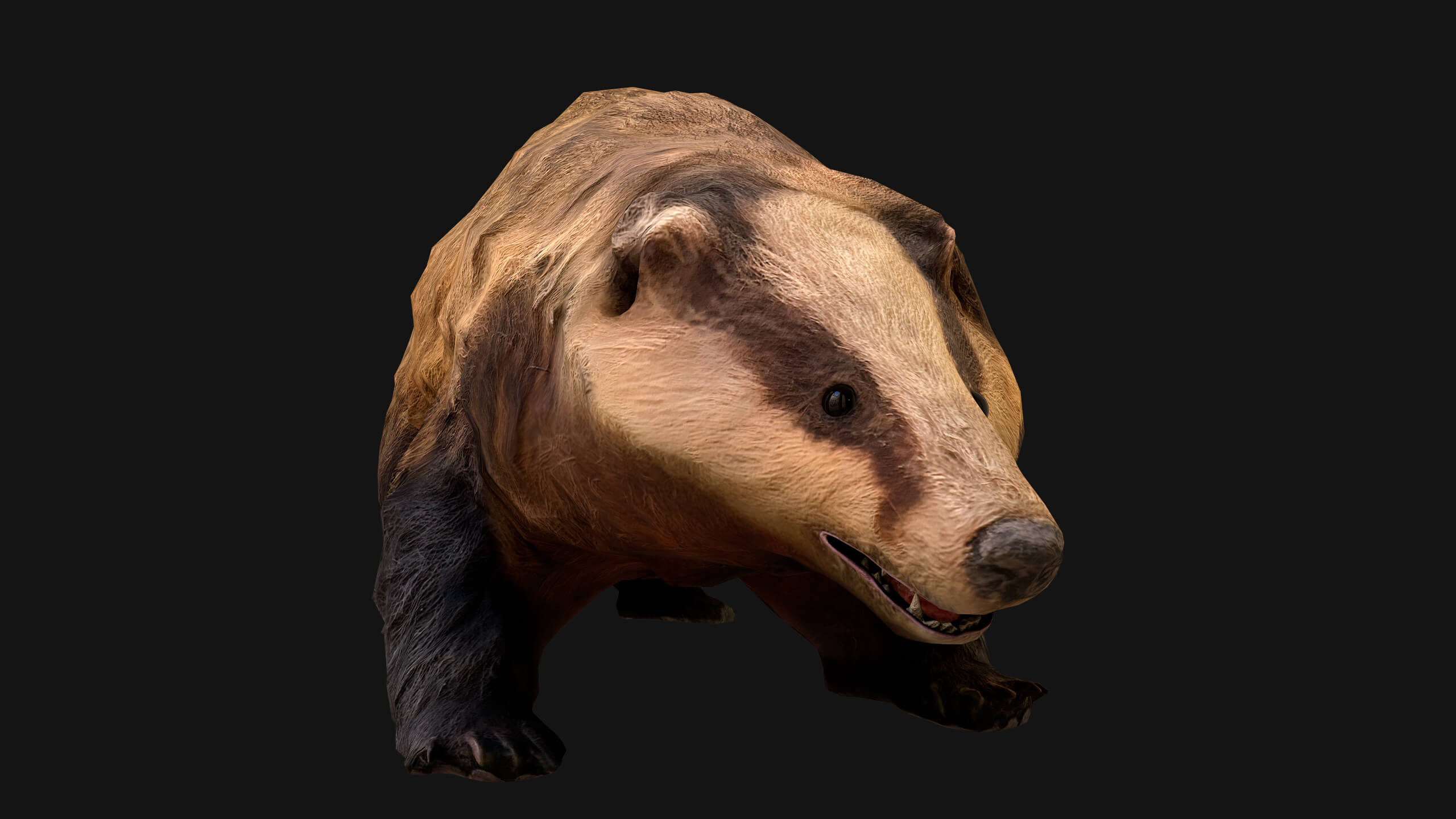 Badger Wild Animal - 3D Model by Dereza