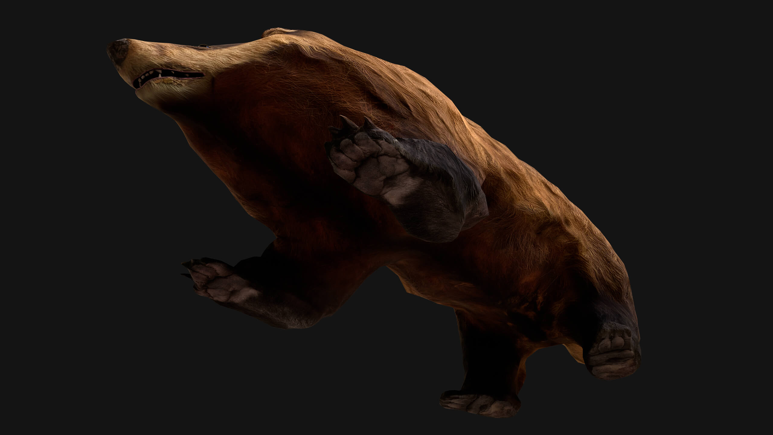 Badger Wild Animal - 3D Model by Dereza