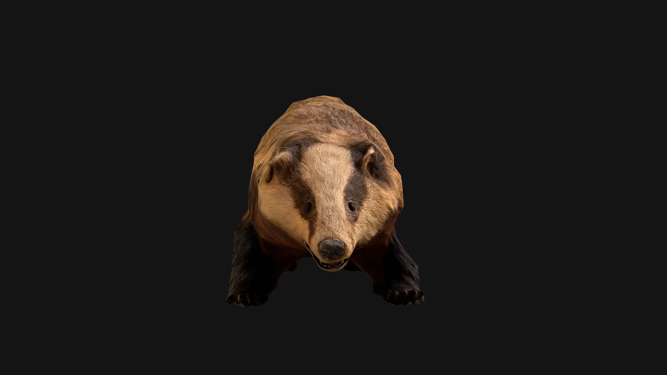 Badger Wild Animal - 3D Model by Dereza