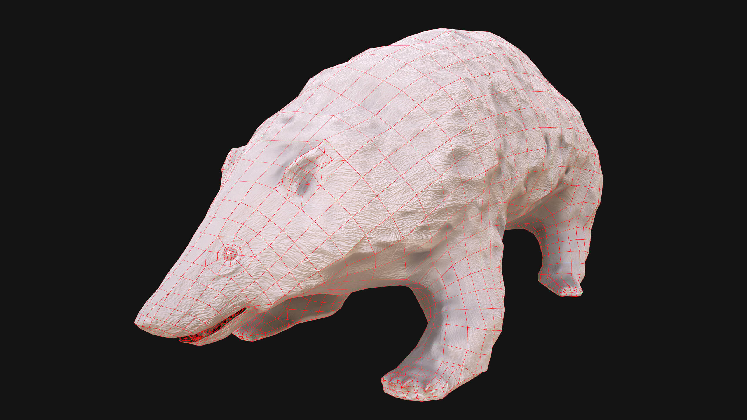 Badger Wild Animal - 3D Model by Dereza