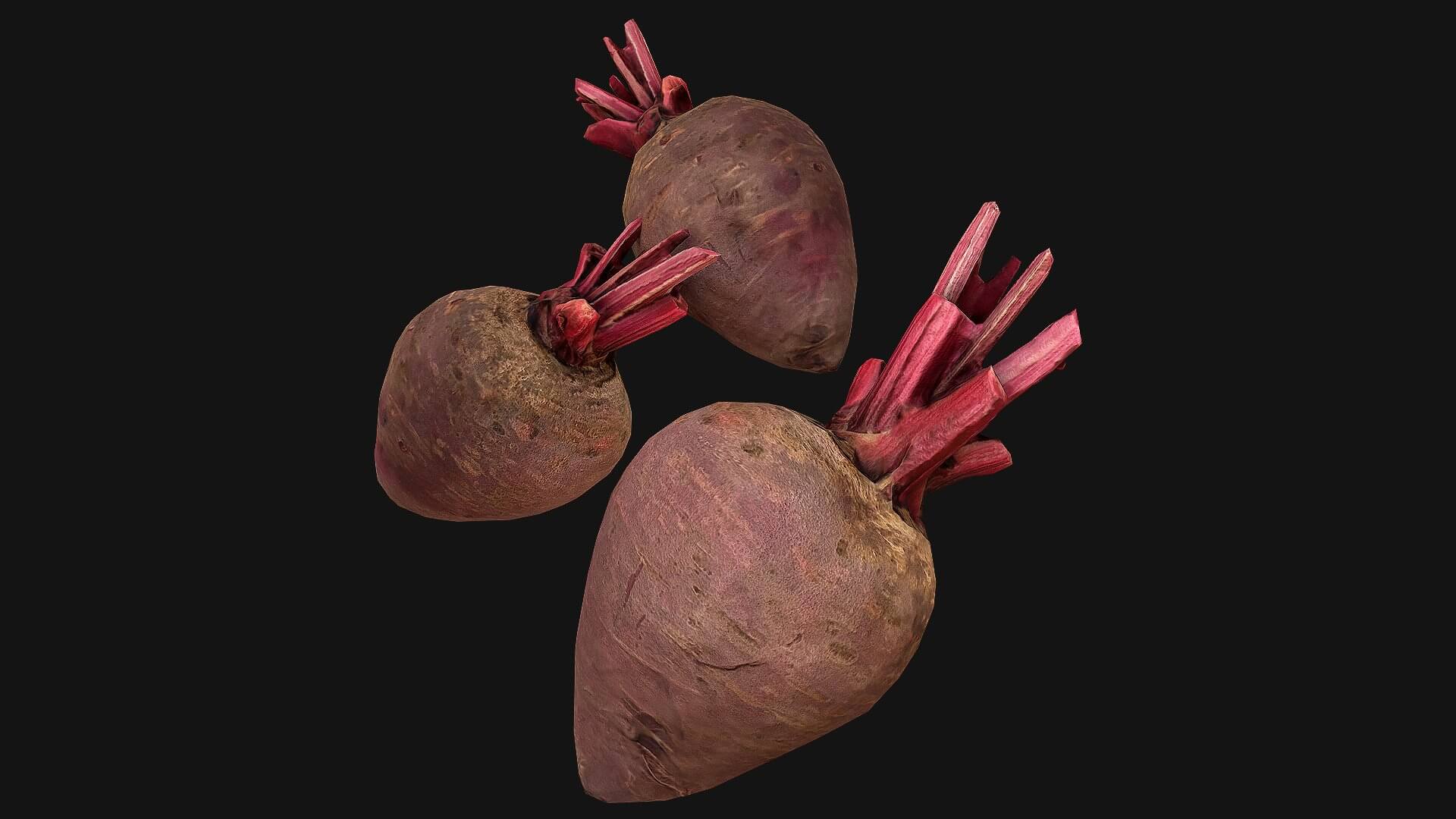 BeetRoot - 3D Model by Dereza