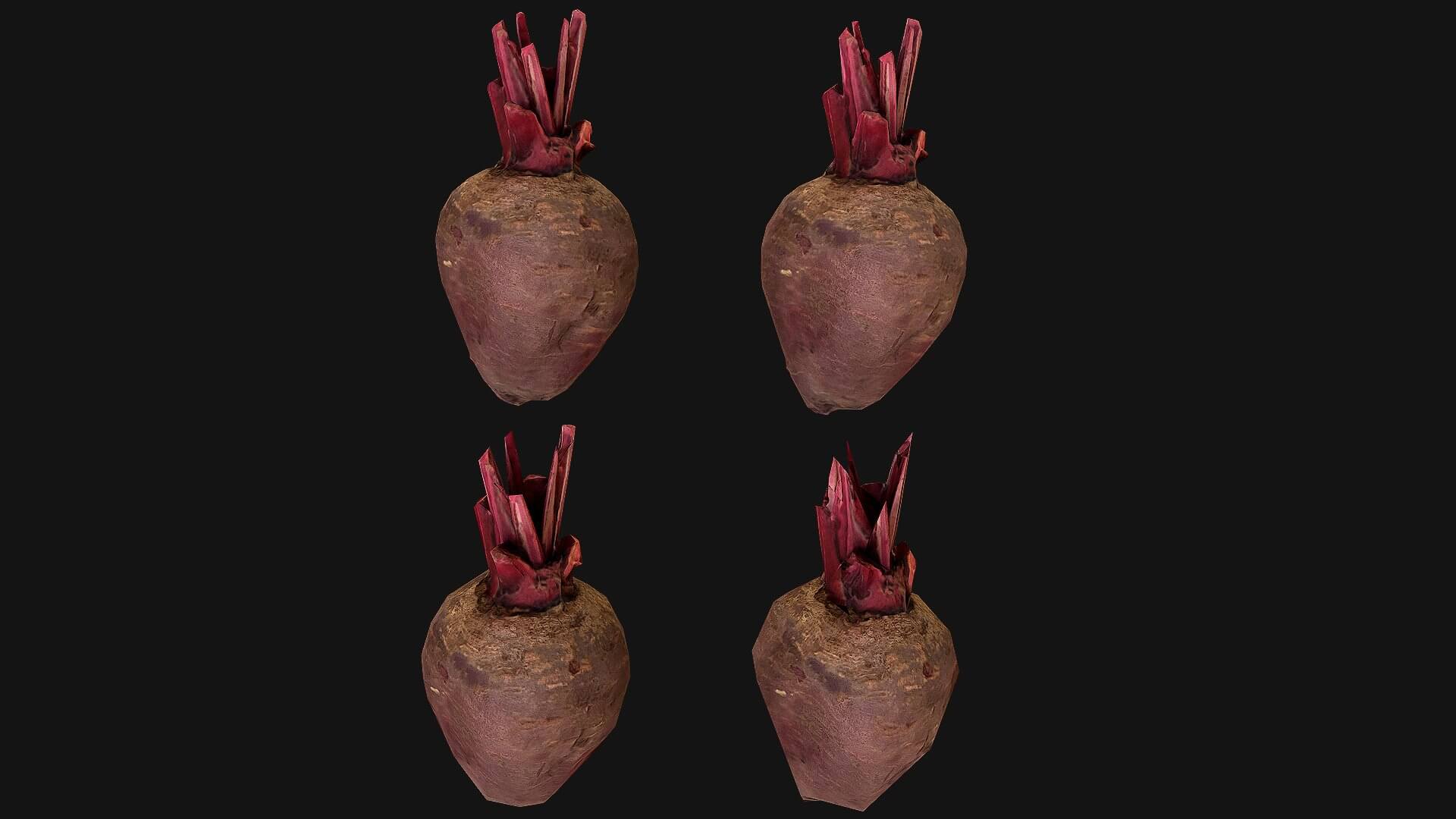 BeetRoot - 3D Model by Dereza