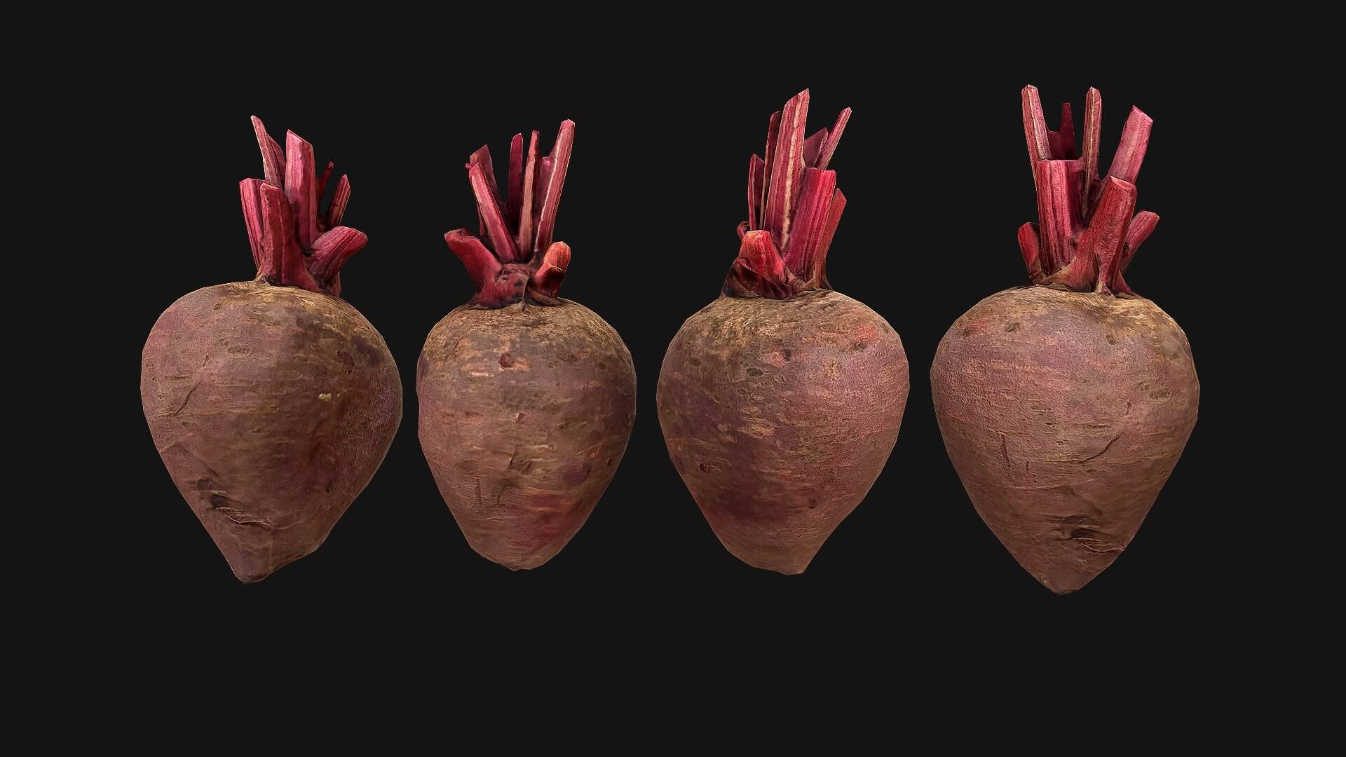 BeetRoot - 3D Model by Dereza