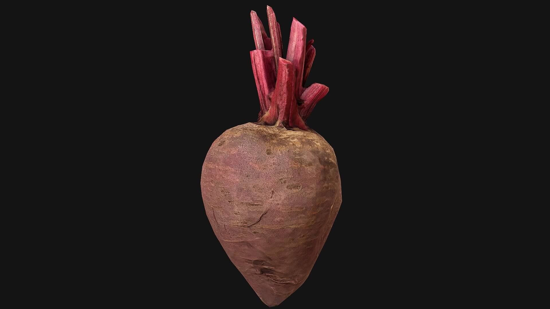 BeetRoot - 3D Model by Dereza