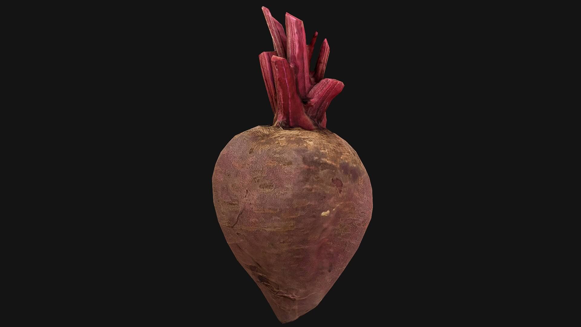 BeetRoot - 3D Model by Dereza