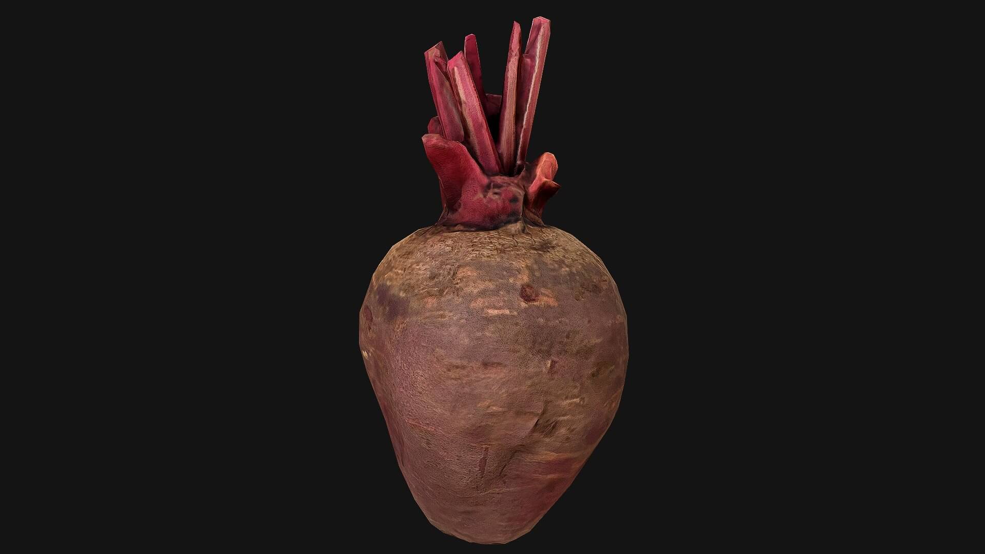 BeetRoot - 3D Model by Dereza
