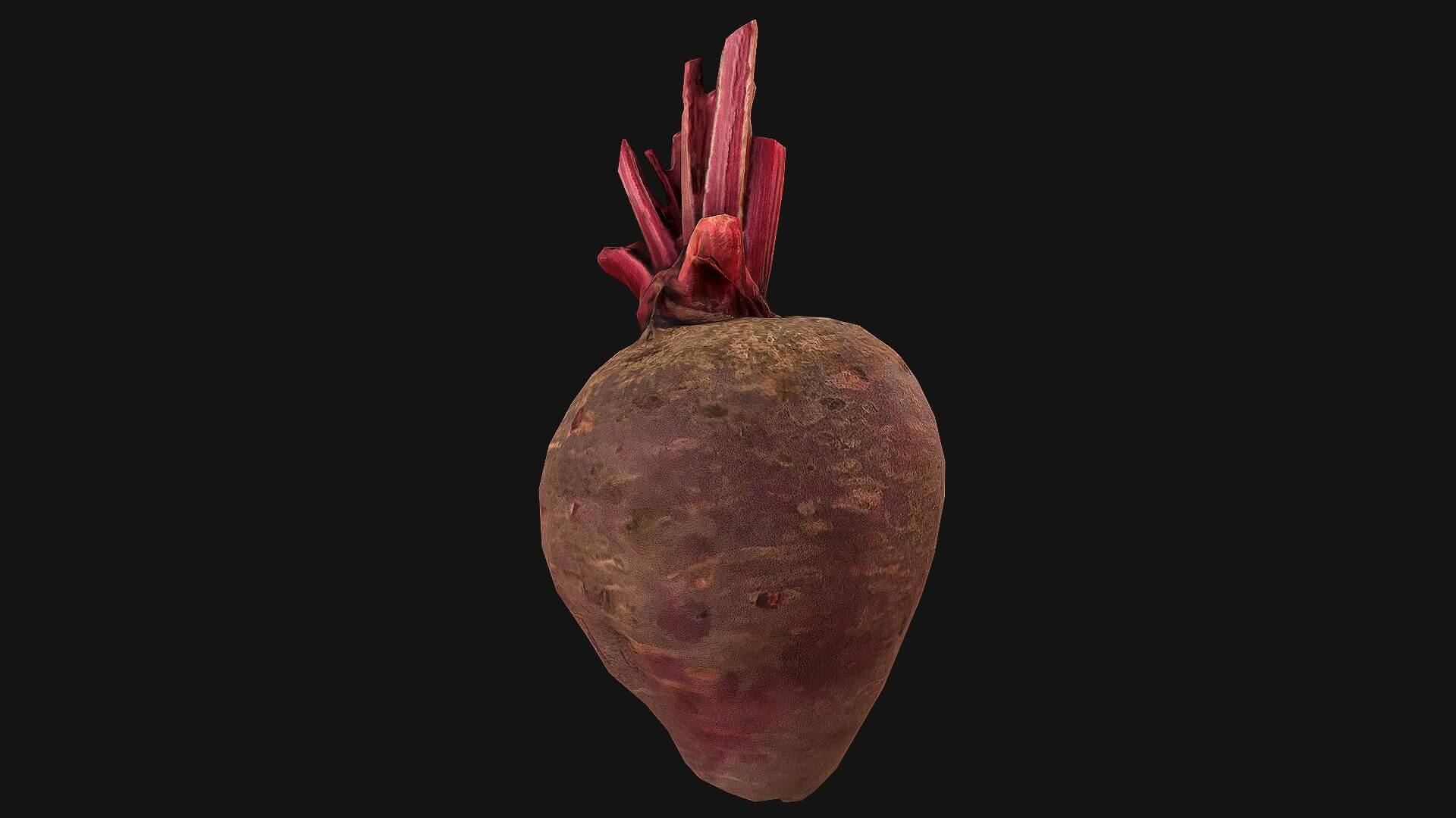 BeetRoot - 3D Model by Dereza