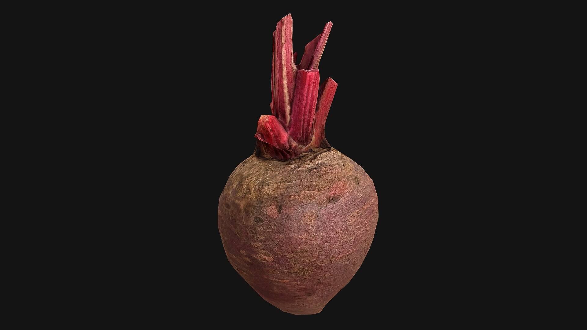 BeetRoot - 3D Model by Dereza