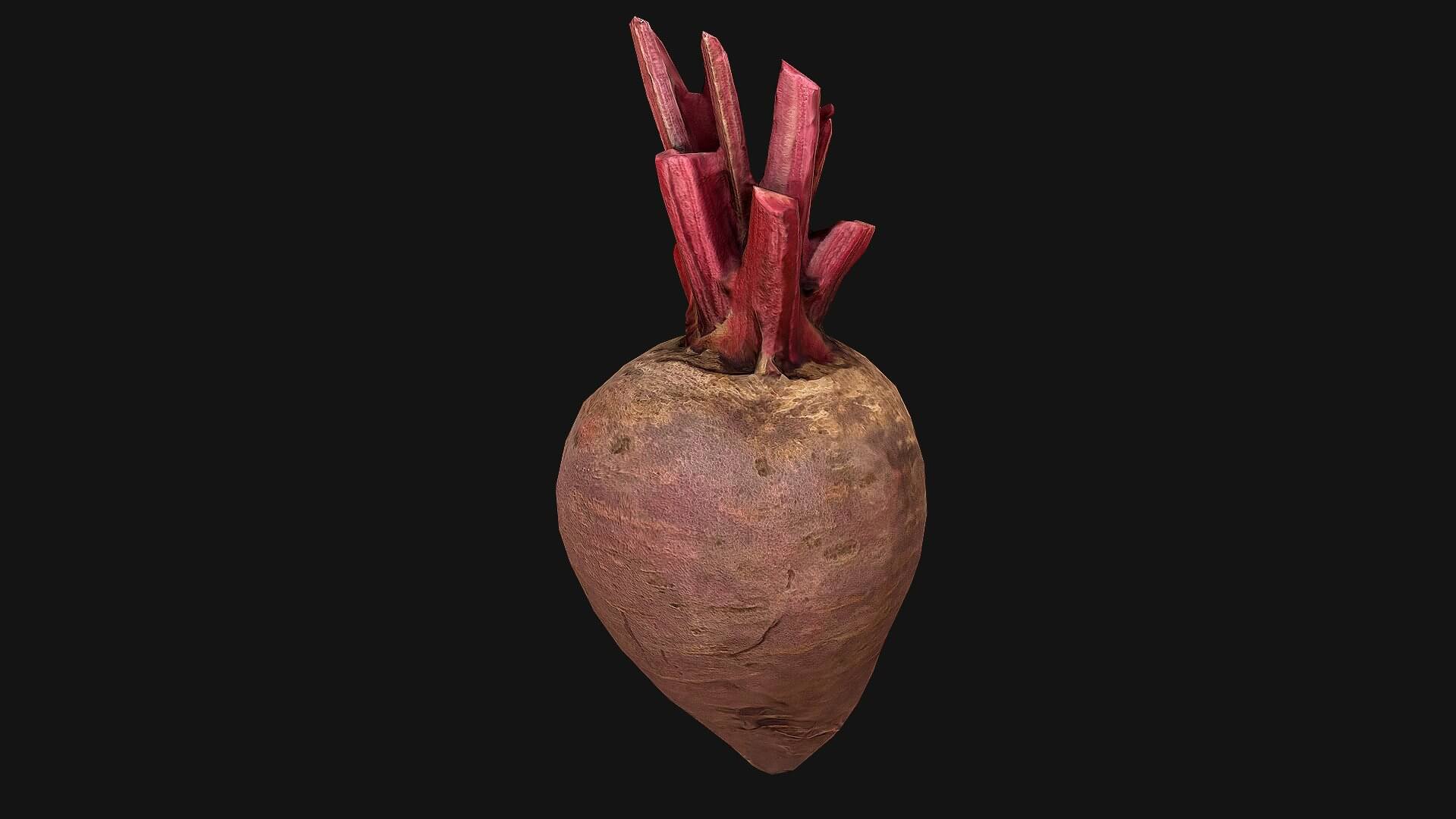BeetRoot - 3D Model by Dereza