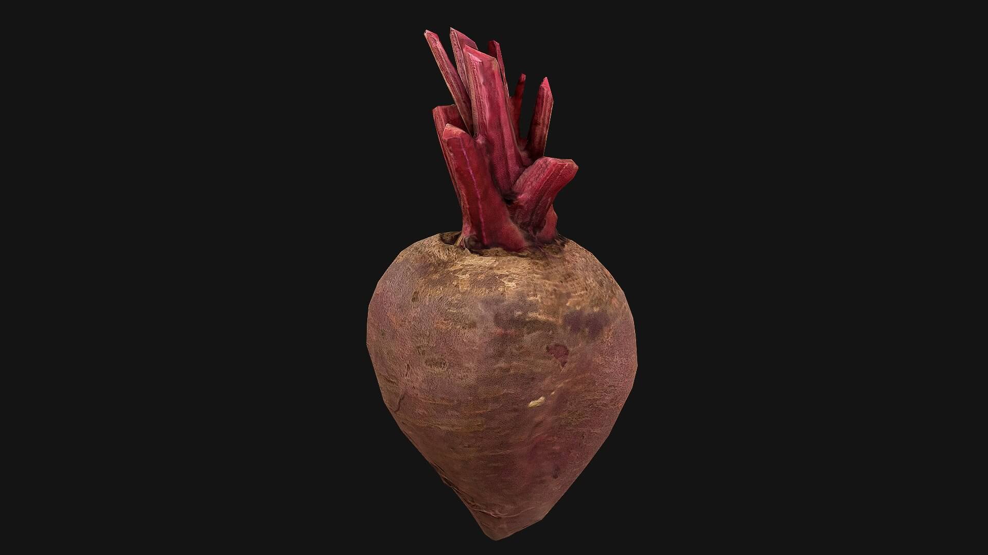 BeetRoot - 3D Model by Dereza
