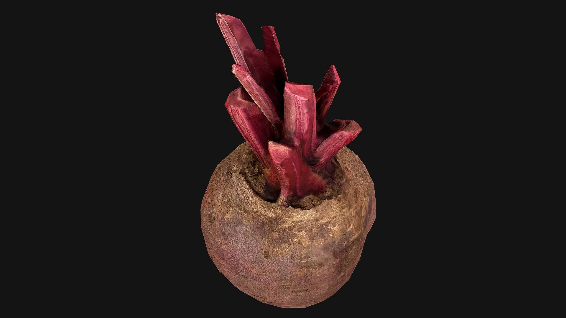 BeetRoot - 3D Model by Dereza