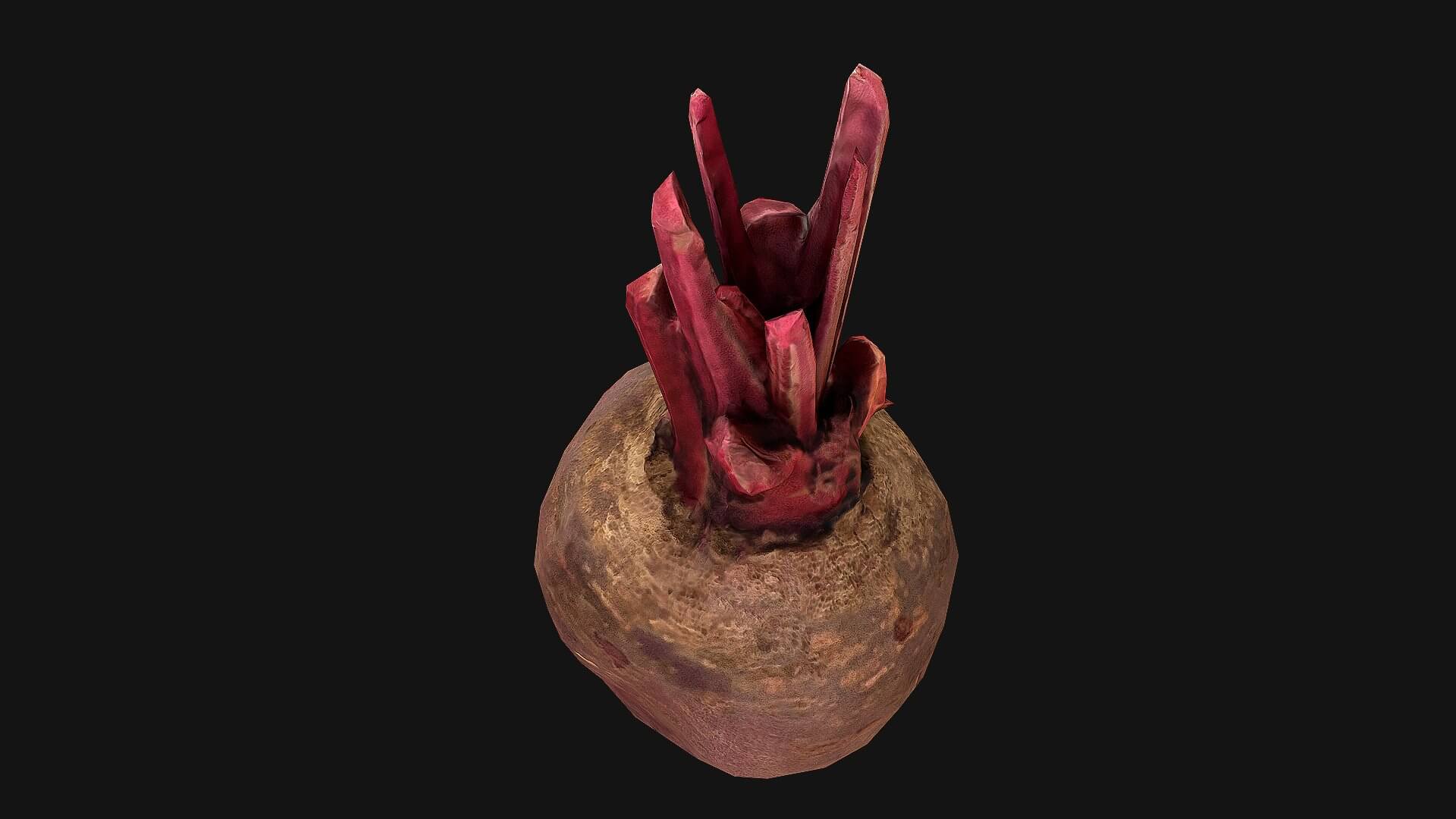 BeetRoot - 3D Model by Dereza