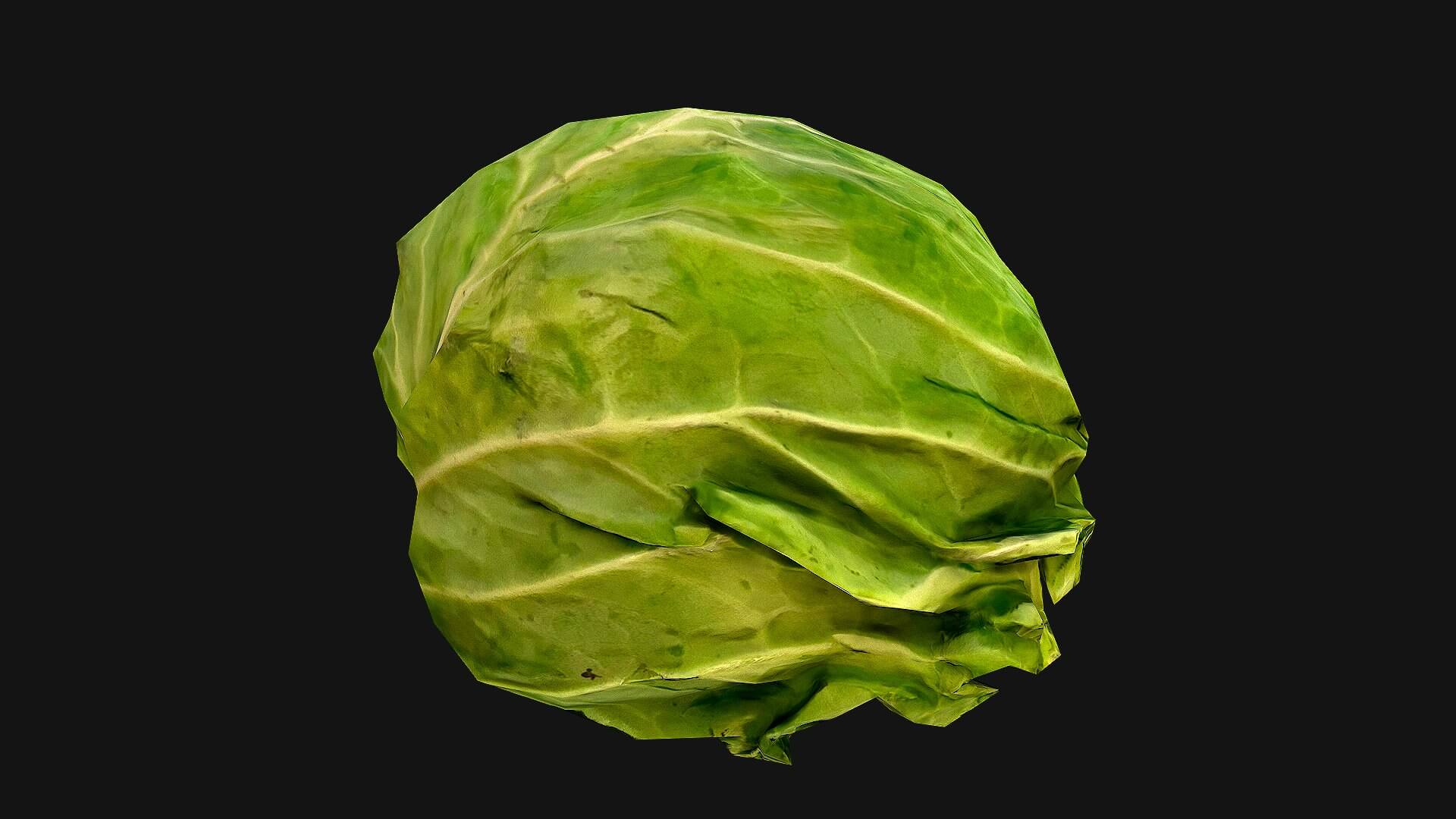 Cabbage - 3D Model by Dereza