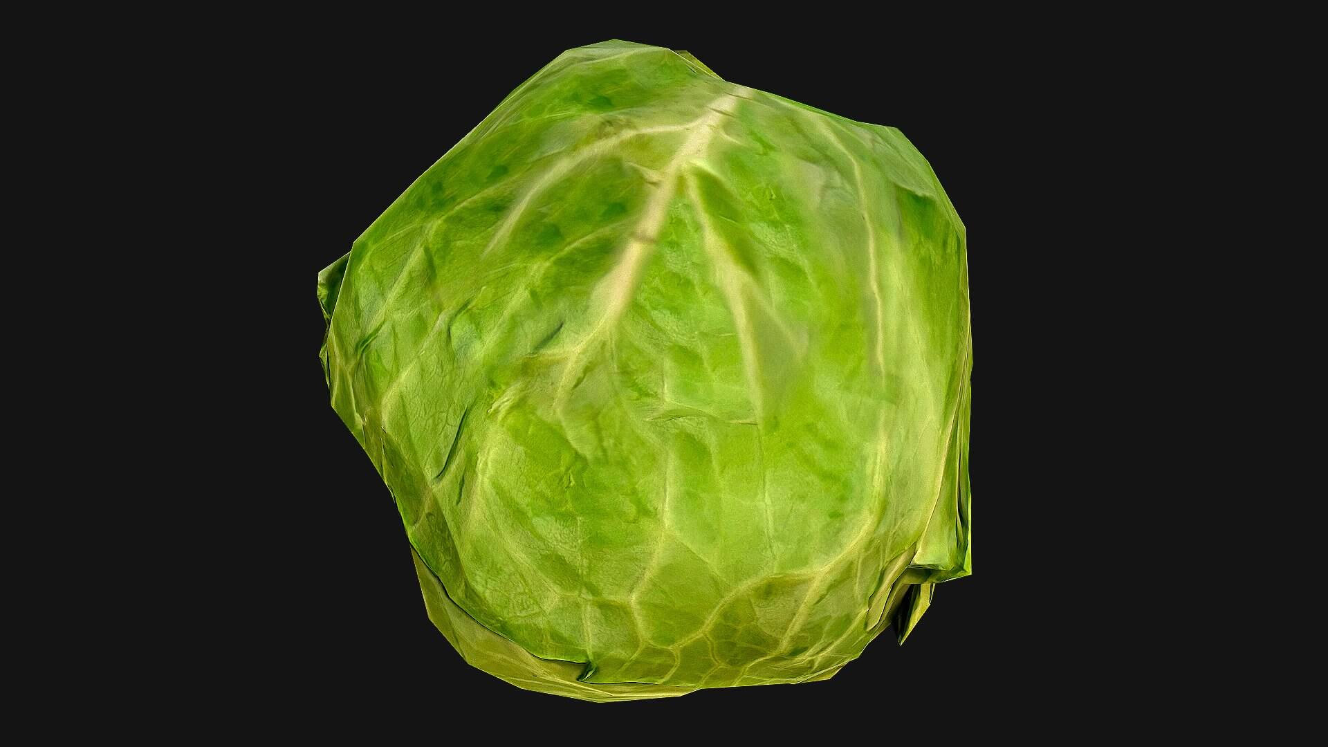 Cabbage - 3D Model by Dereza