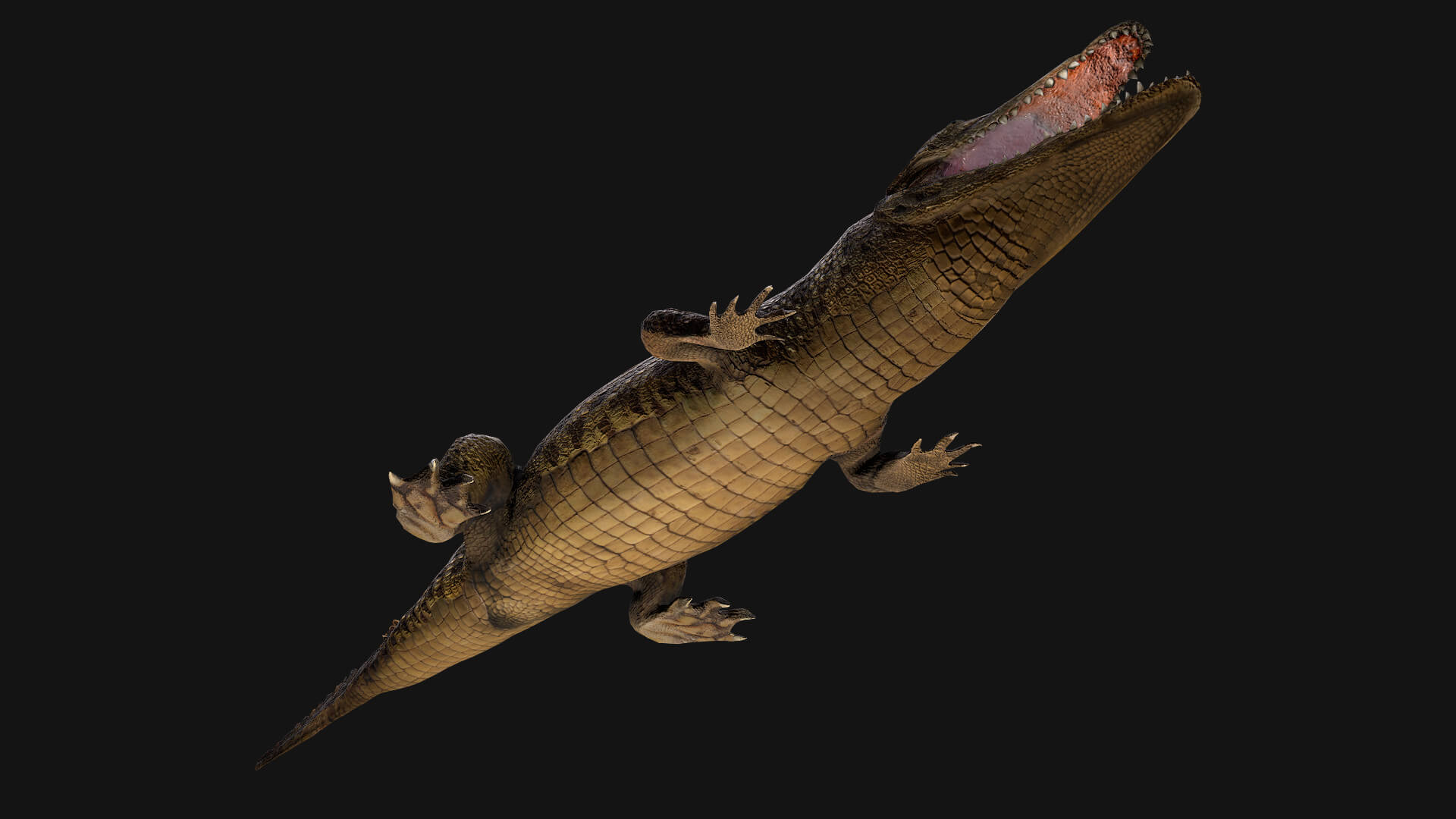 Crocodile Animal - 3D Model by Dereza