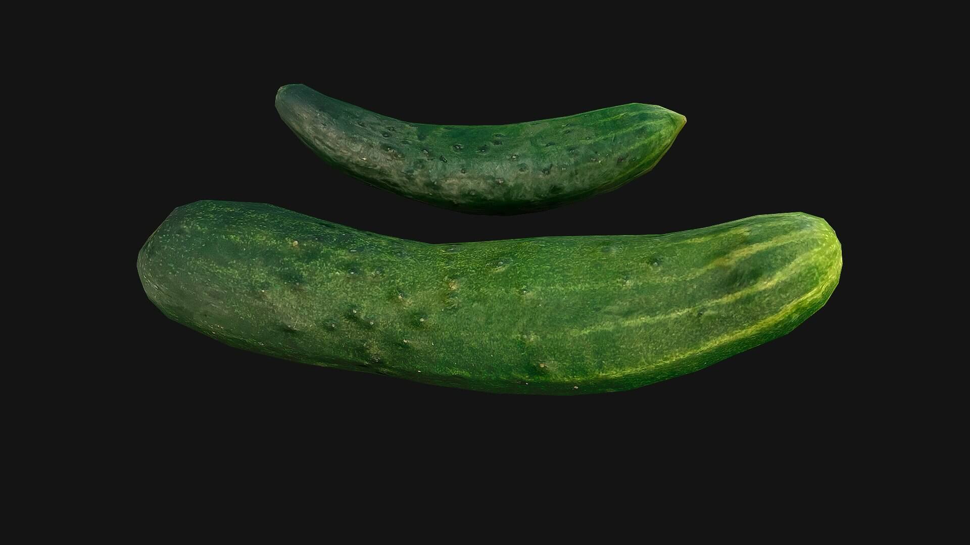 Cucumber - 3D Model by Dereza