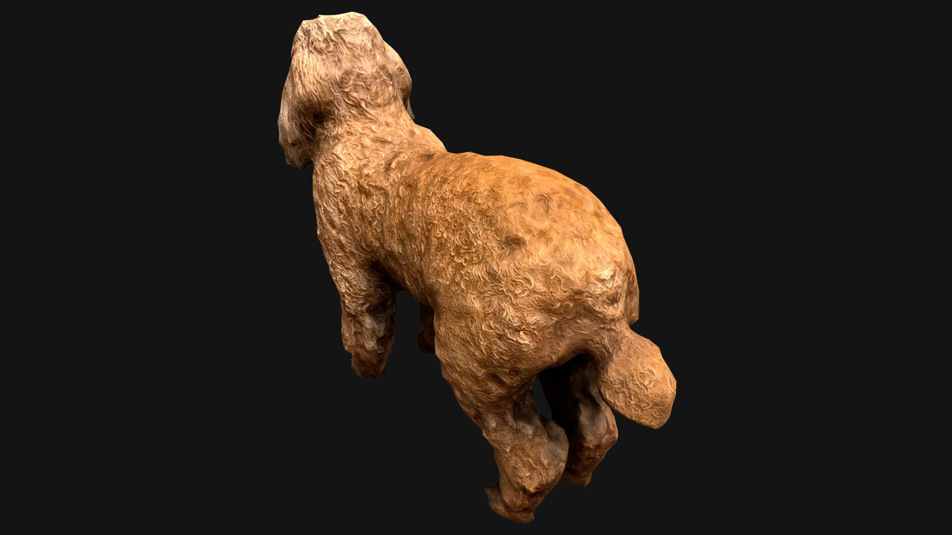 Dog Cockapoo Cocker Spaniel Mix Poodle - 3D Model by Dereza