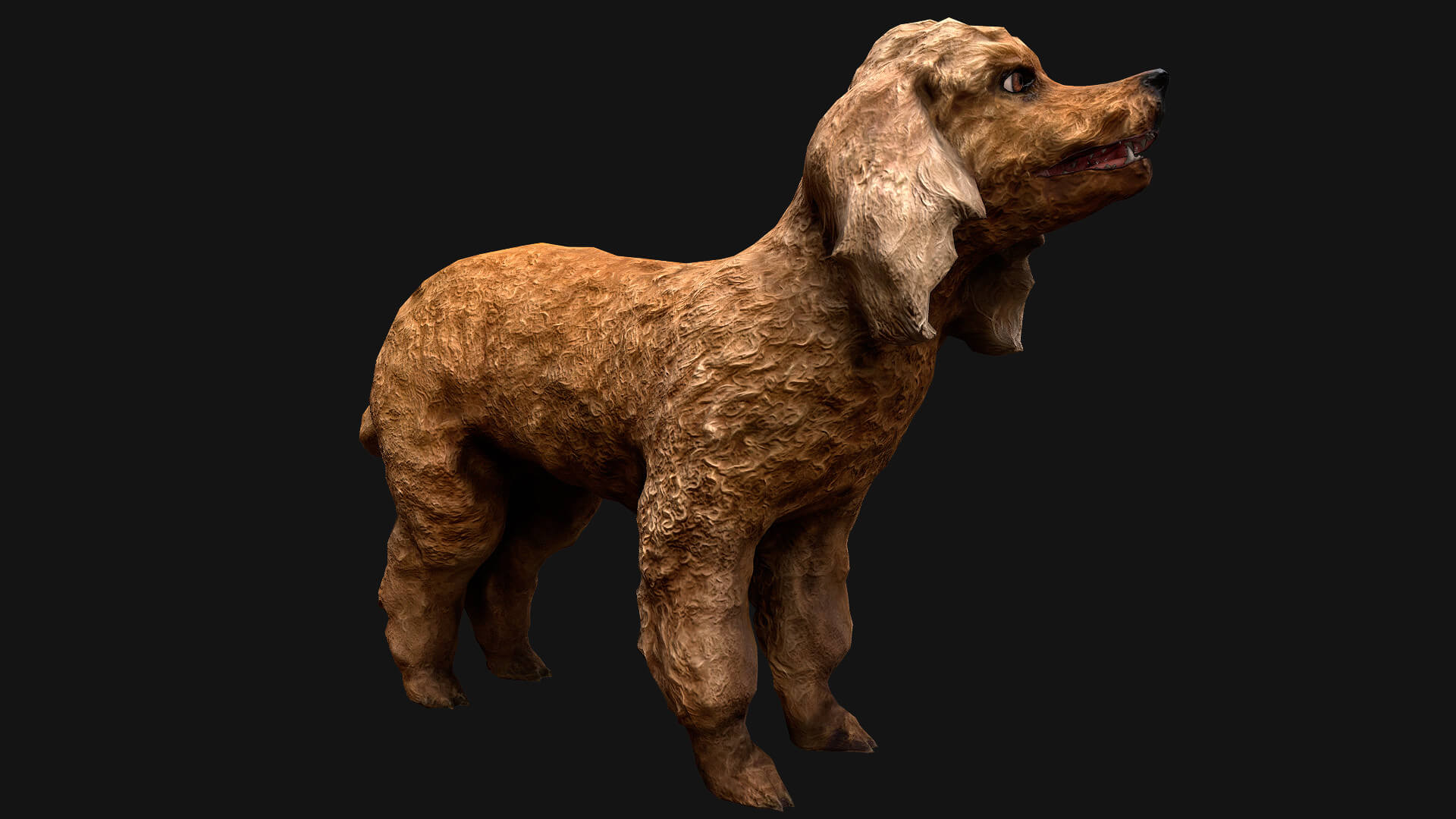 Dog Cockapoo Cocker Spaniel Mix Poodle - 3D Model by Dereza