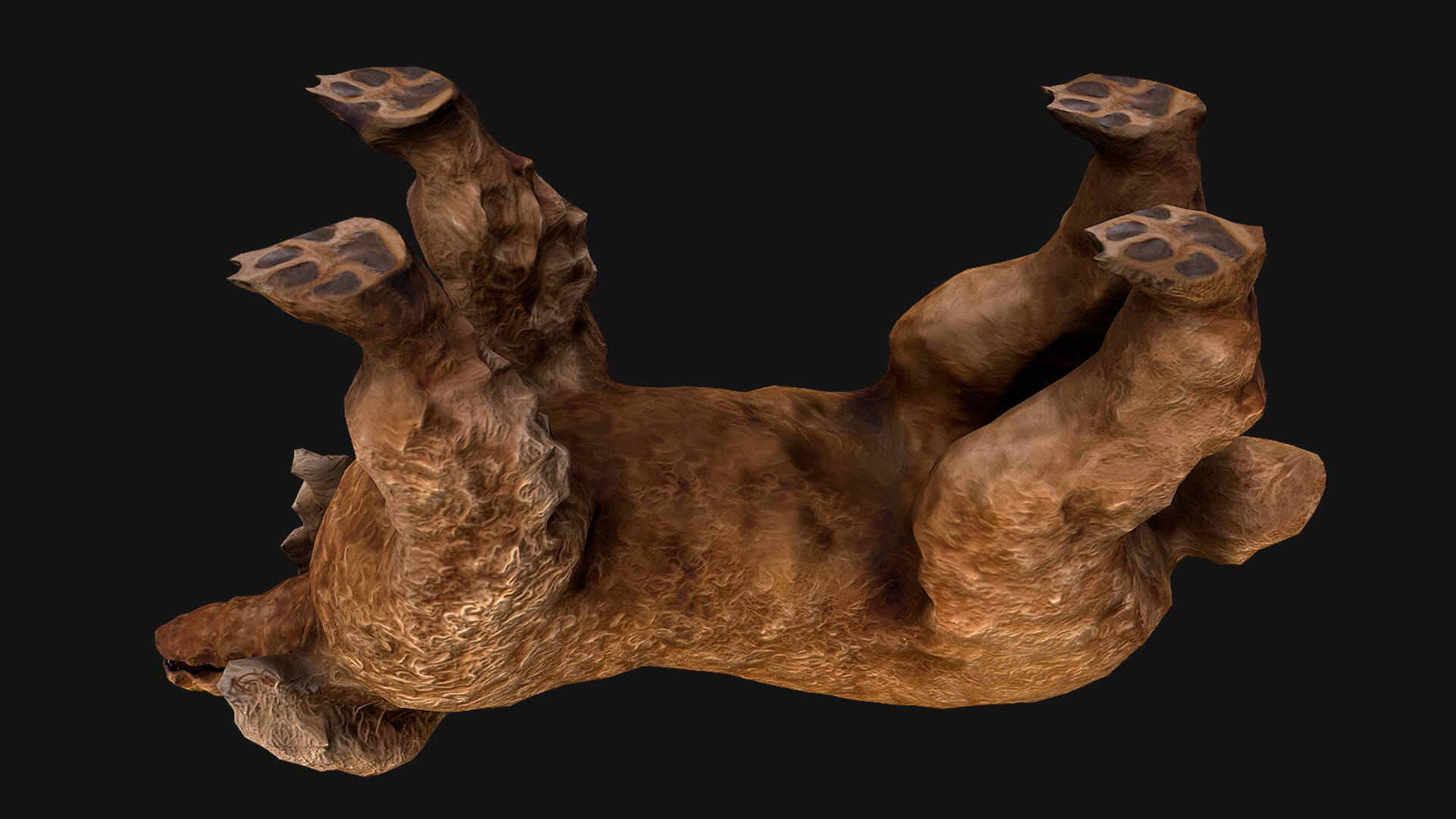 Dog Cockapoo Cocker Spaniel Mix Poodle - 3D Model by Dereza