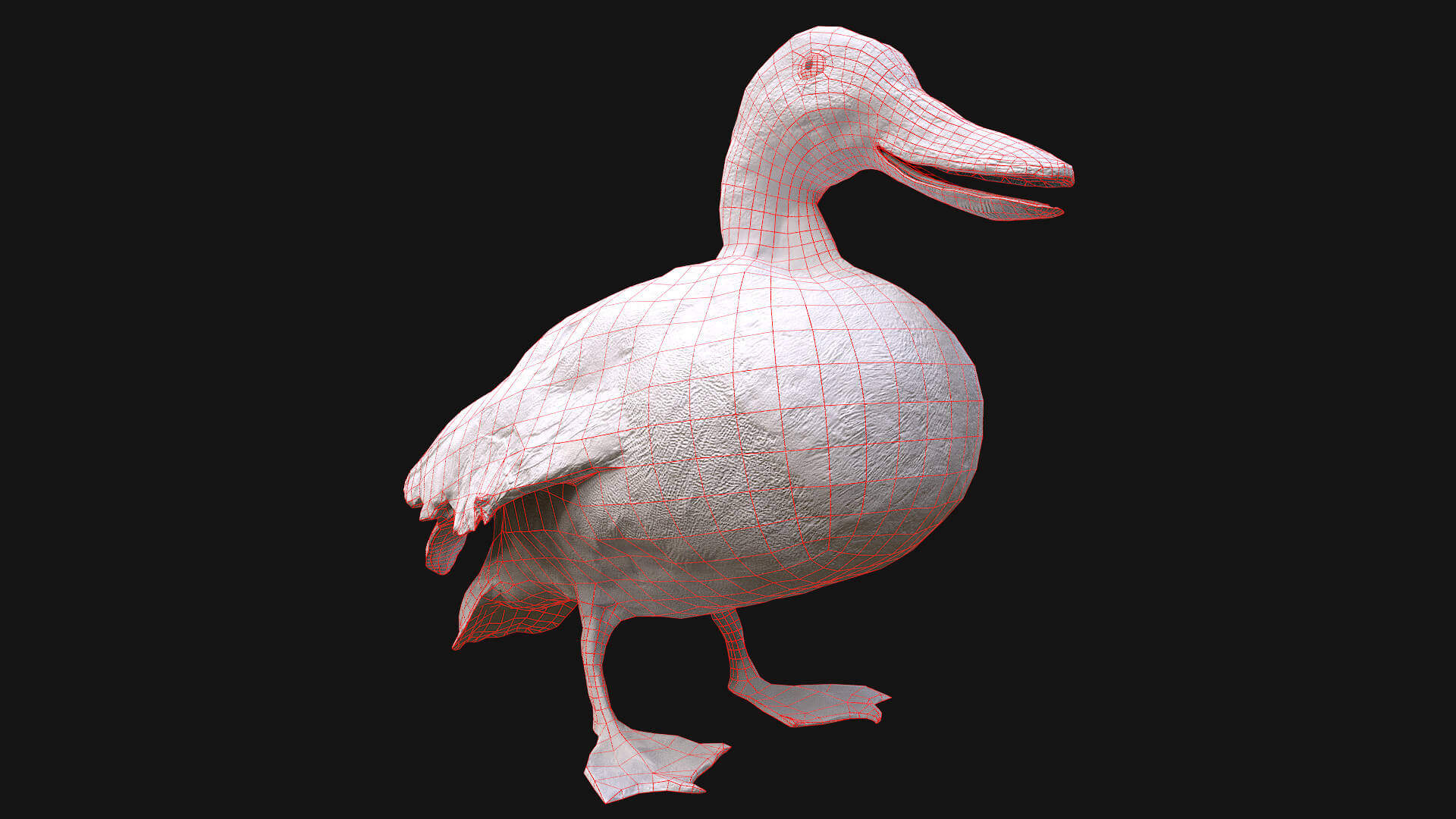 Mallard Duck Bird - 3D Model by Dereza