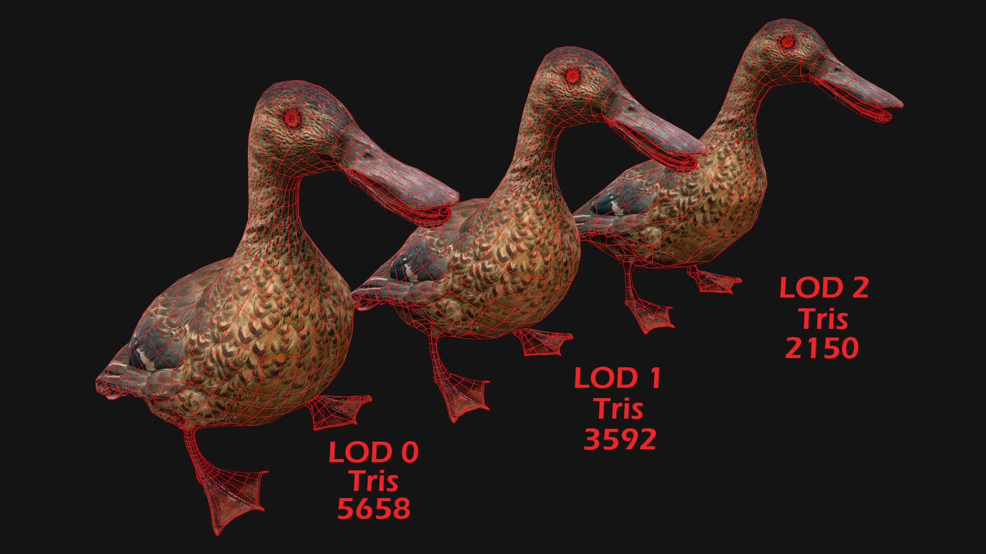 Duck Birds Pack - 3D Model by Dereza