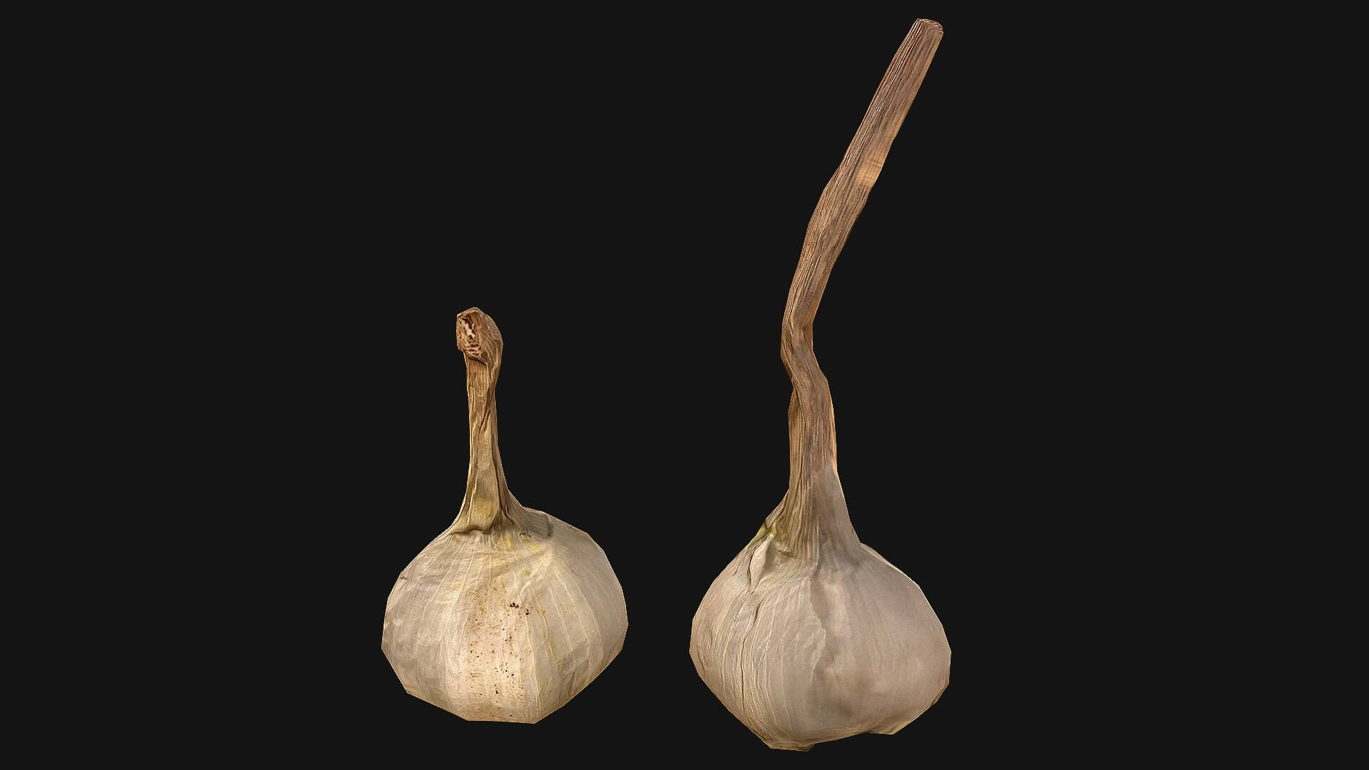 Garlic - 3D Model by Dereza