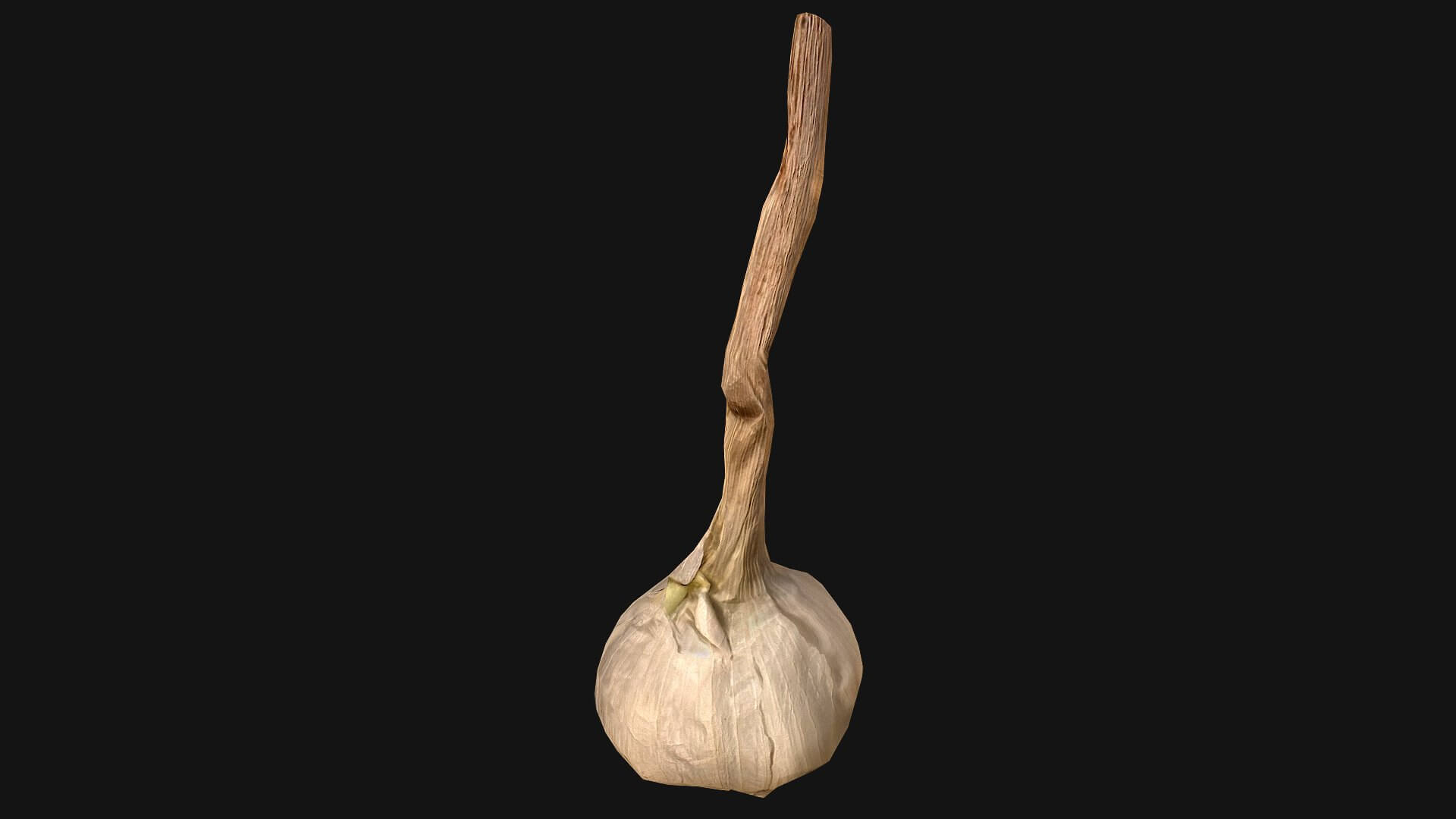 Garlic - 3D Model by Dereza