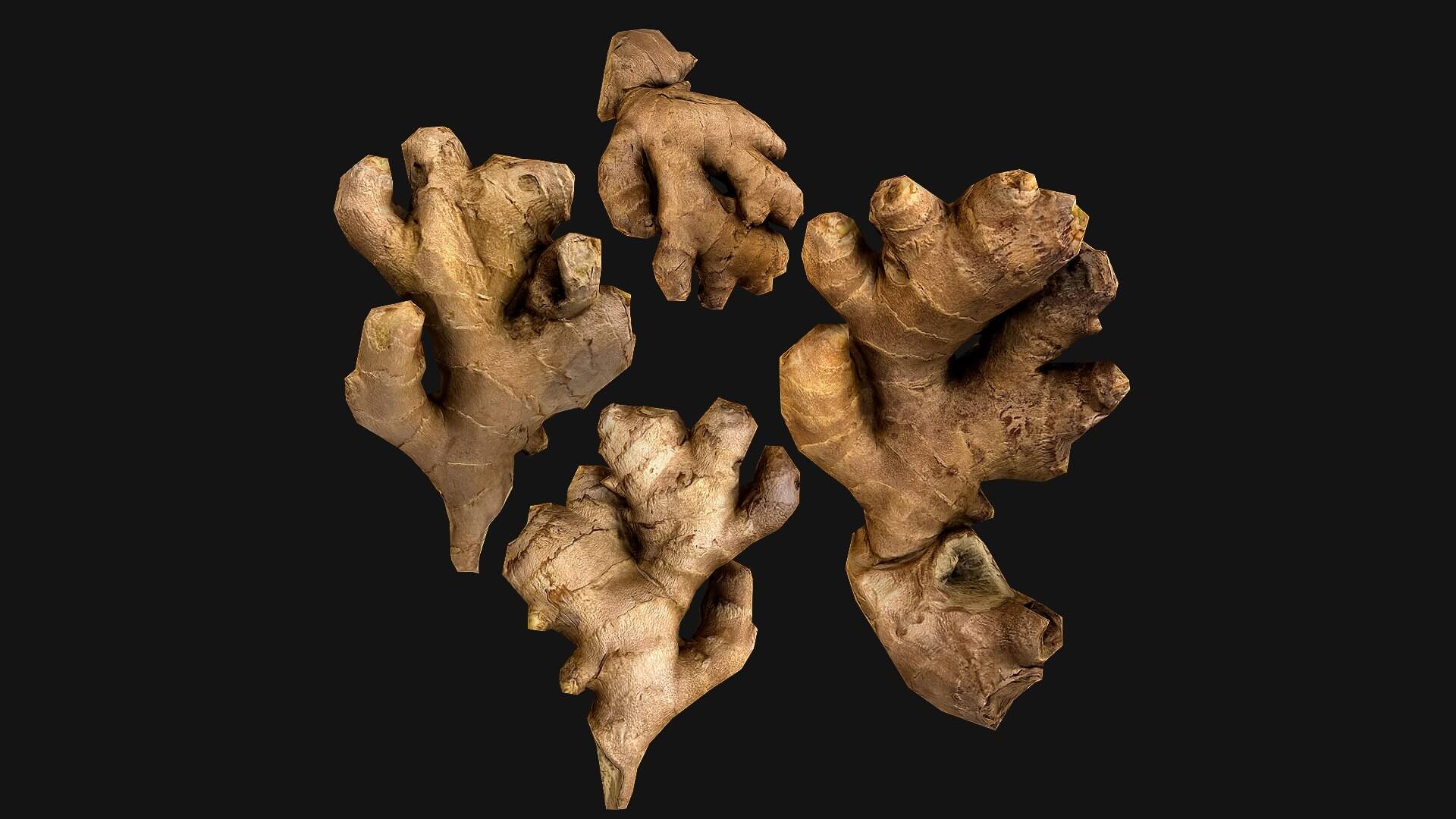 Ginger - 3D Model by Dereza