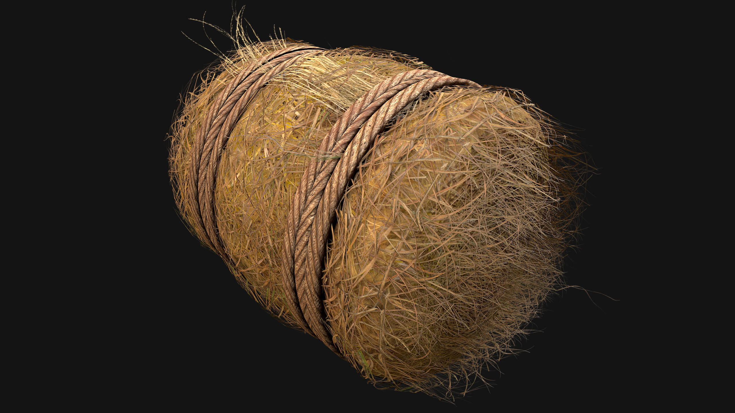 Hay Bale Square and Round - 3D Model by Dereza