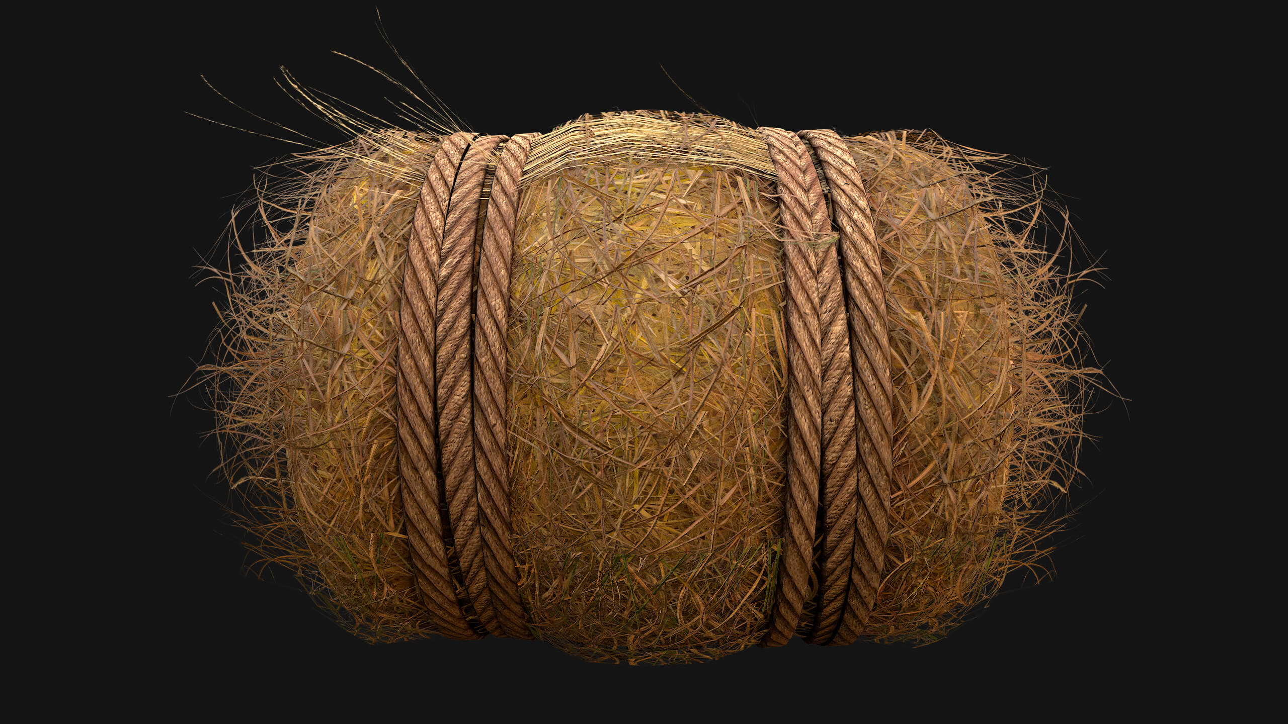 Hay Bale Square and Round - 3D Model by Dereza