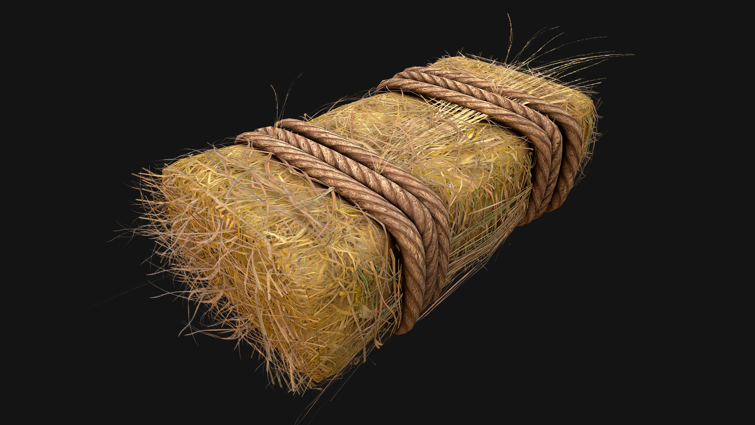 Hay Bale Square and Round - 3D Model by Dereza