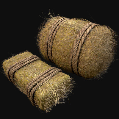 3D Models | Plants | Hay | RenderHub