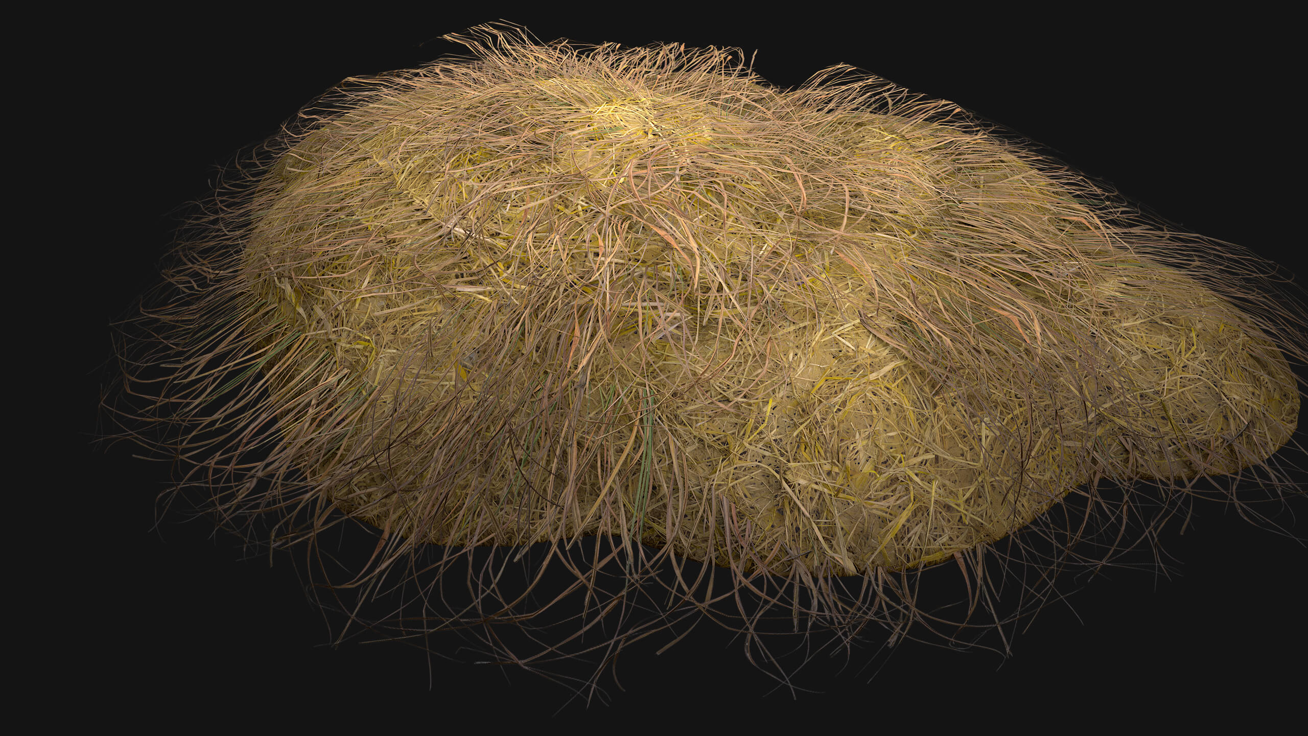 Haystack and Straw on Earth - 3D Model by Dereza