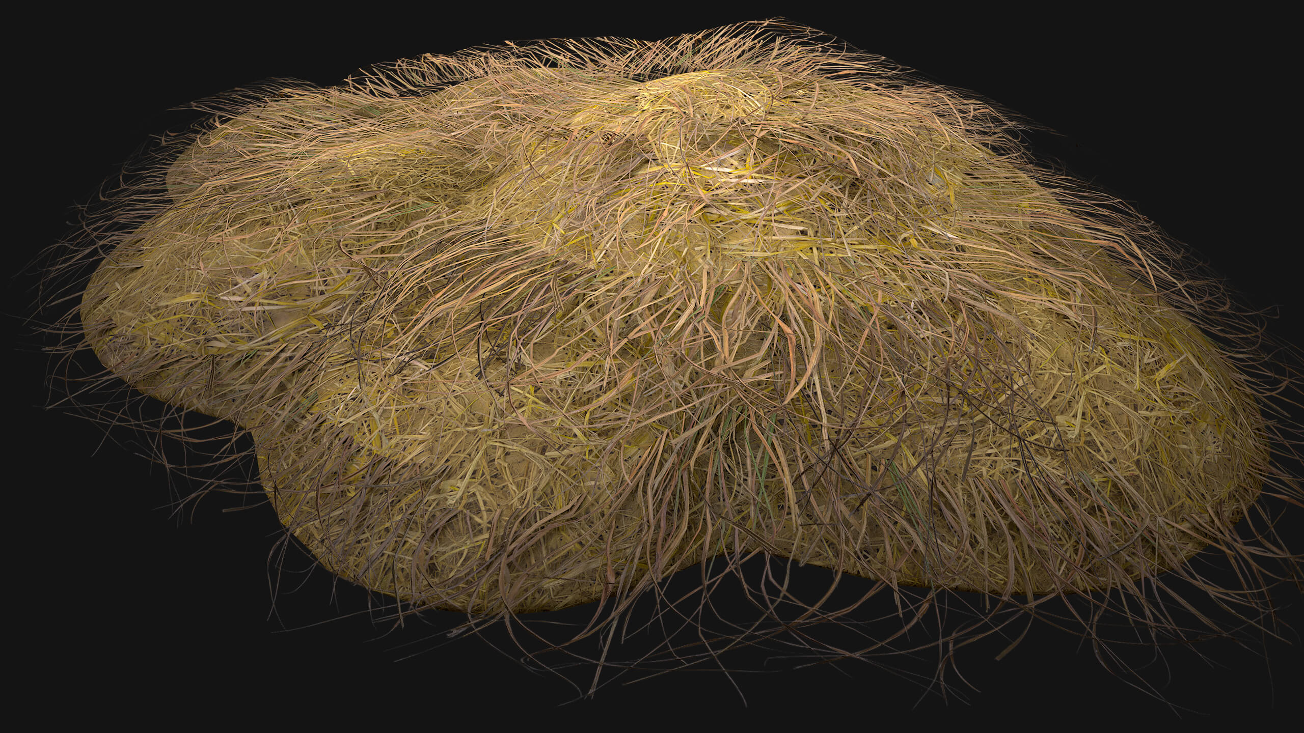 Haystack and Straw on Earth - 3D Model by Dereza