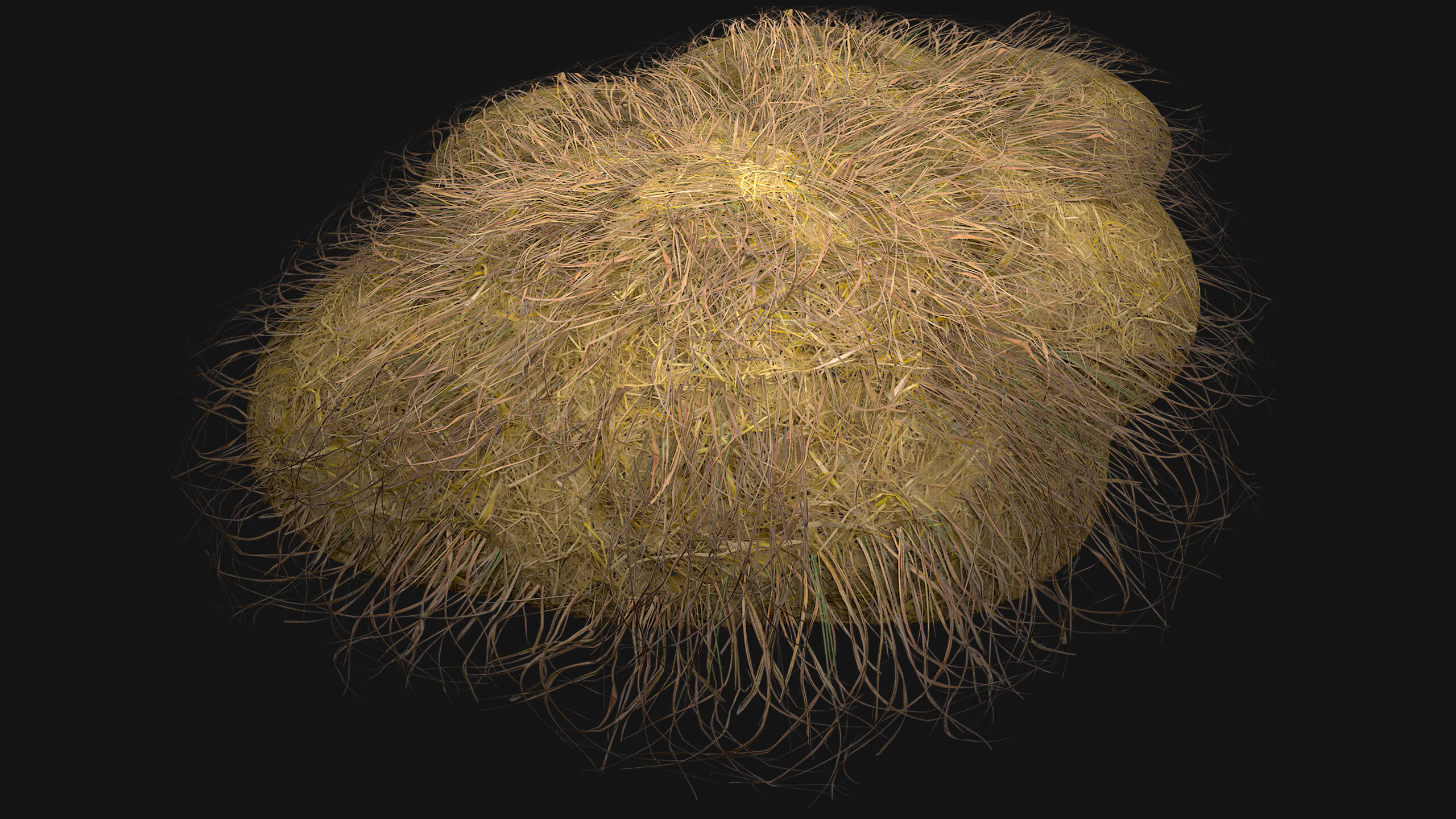 Haystack and Straw on Earth - 3D Model by Dereza