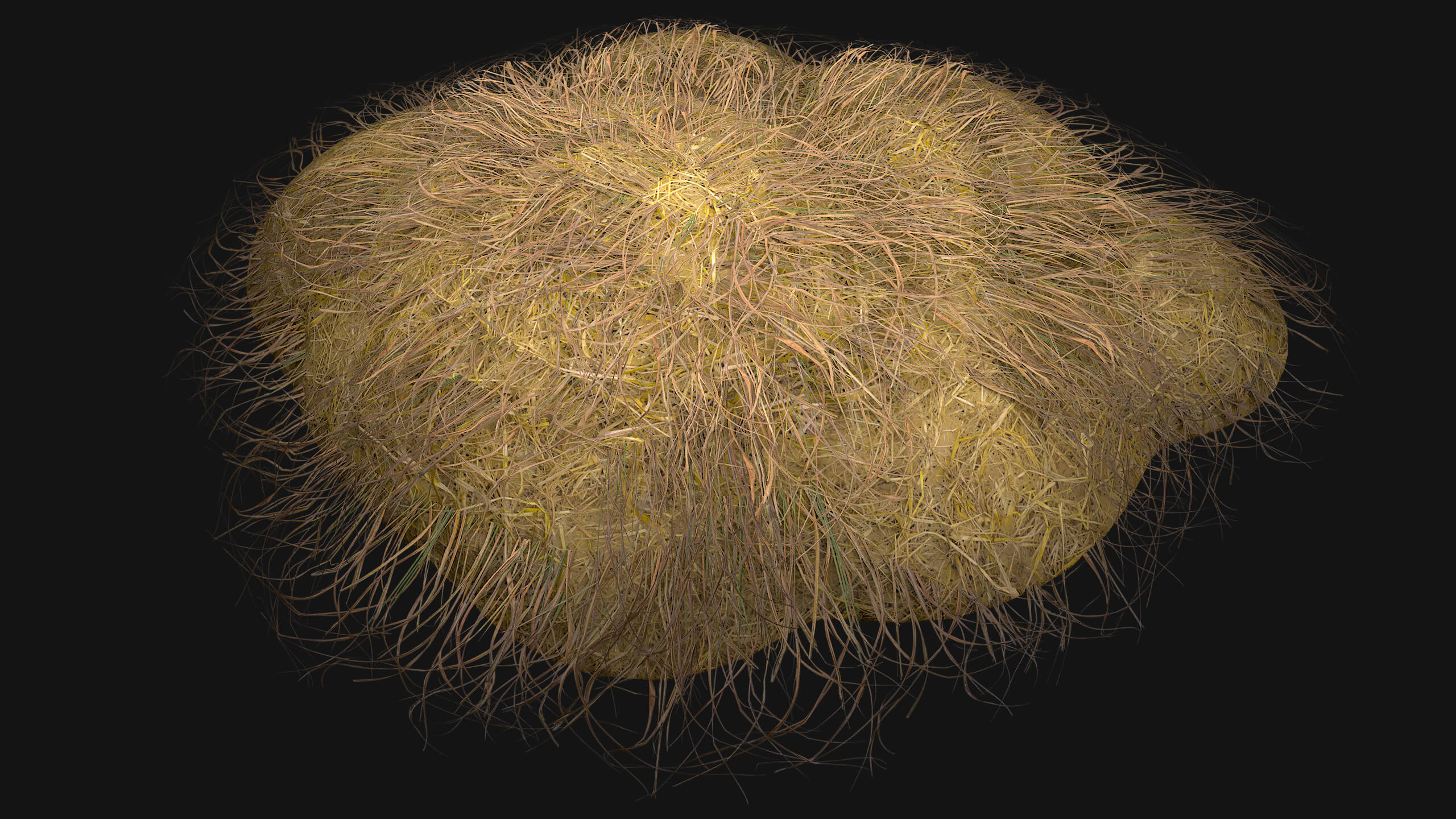 Haystack and Straw on Earth - 3D Model by Dereza