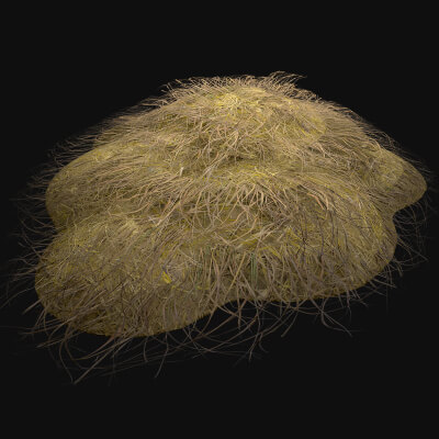 3D Models | Plants | Hay | RenderHub