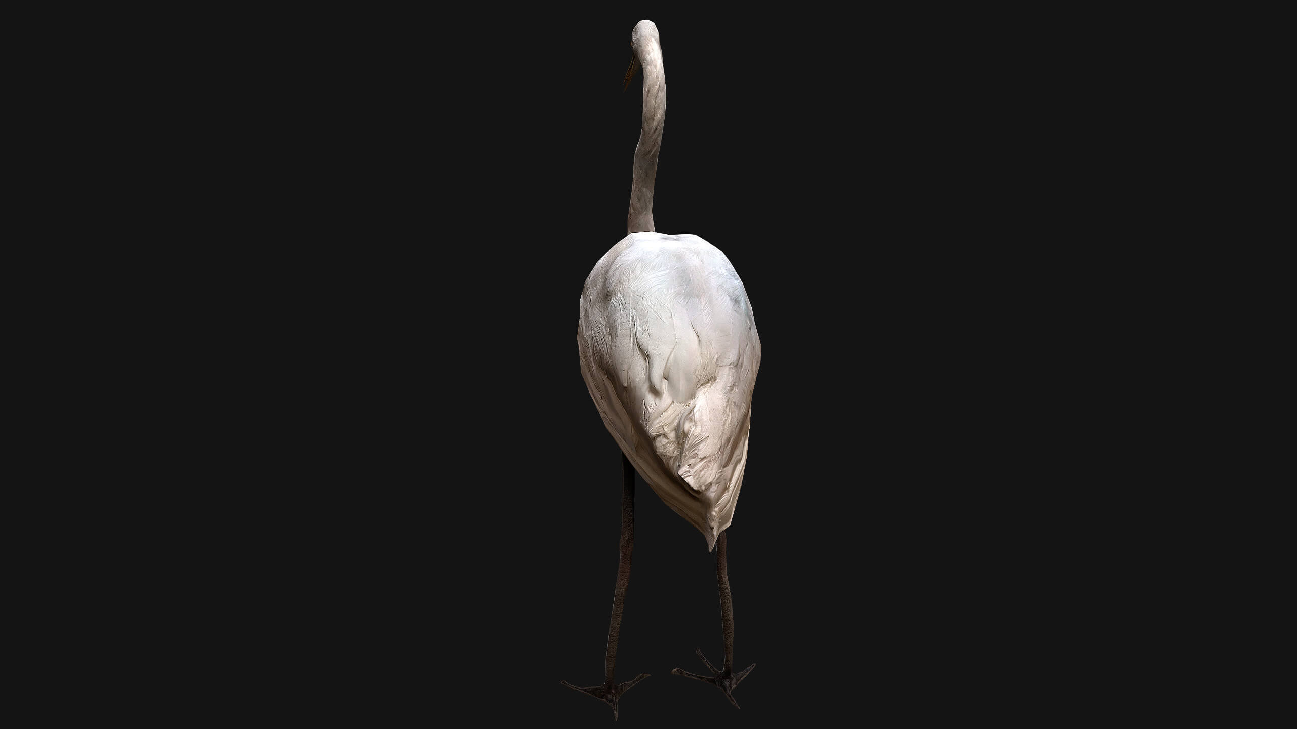 Heron White Bird - 3D Model by Dereza