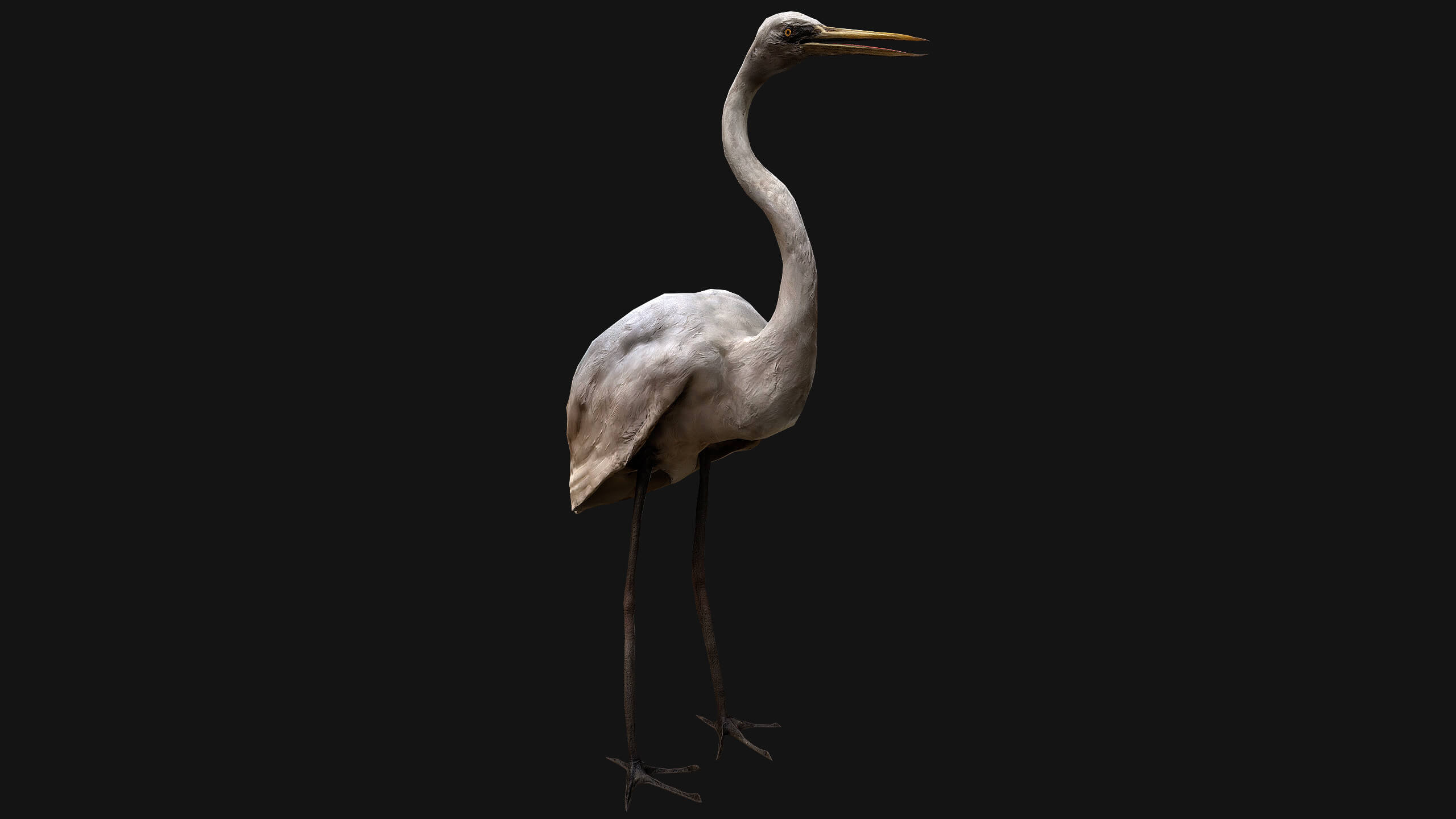 Heron White Bird - 3D Model by Dereza