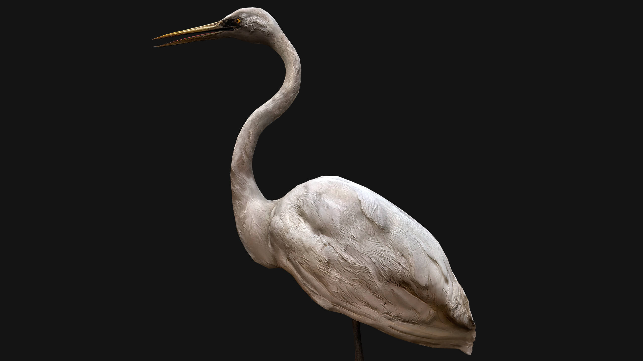 Heron White Bird - 3D Model by Dereza