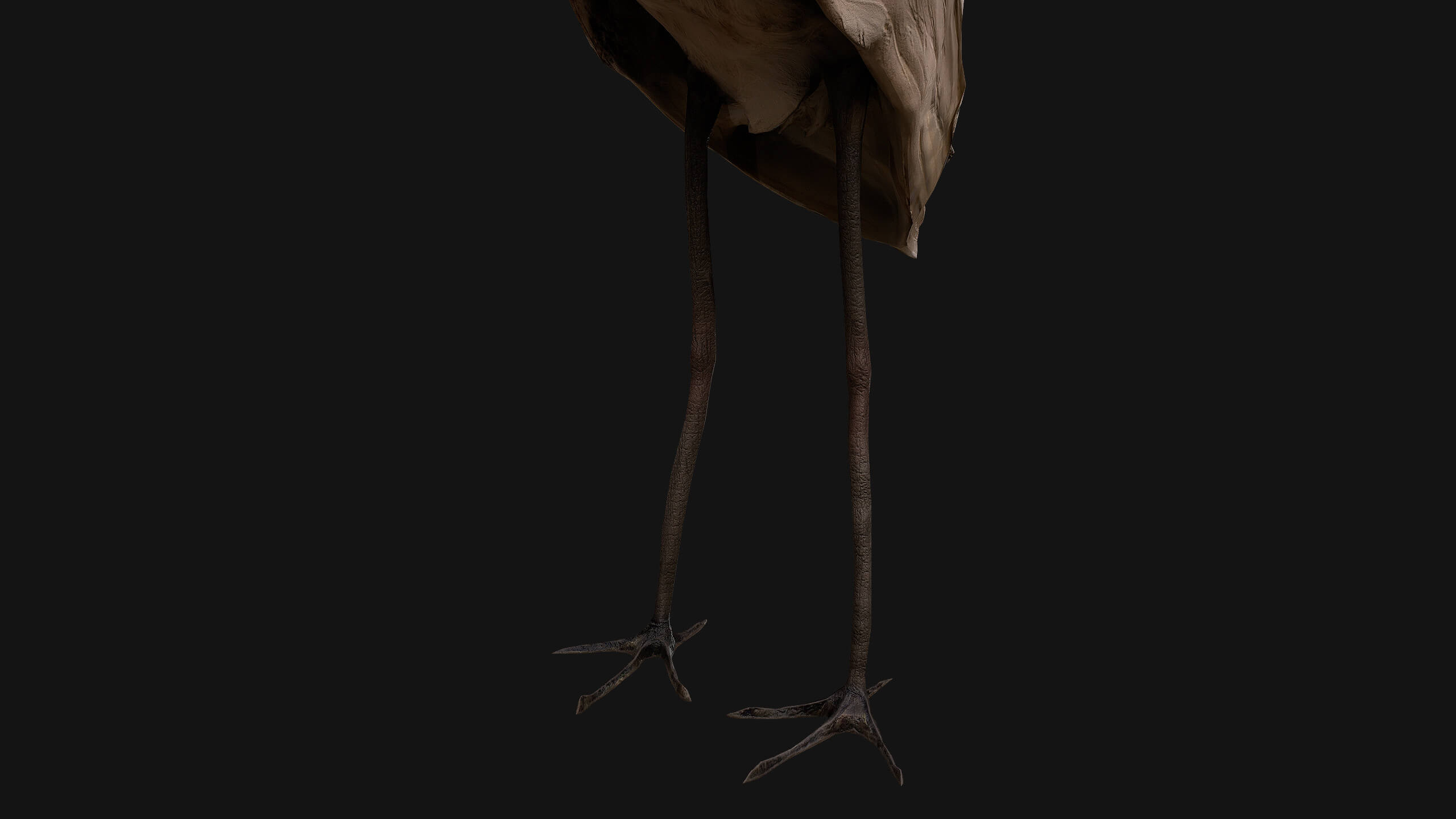 Heron White Bird - 3D Model by Dereza