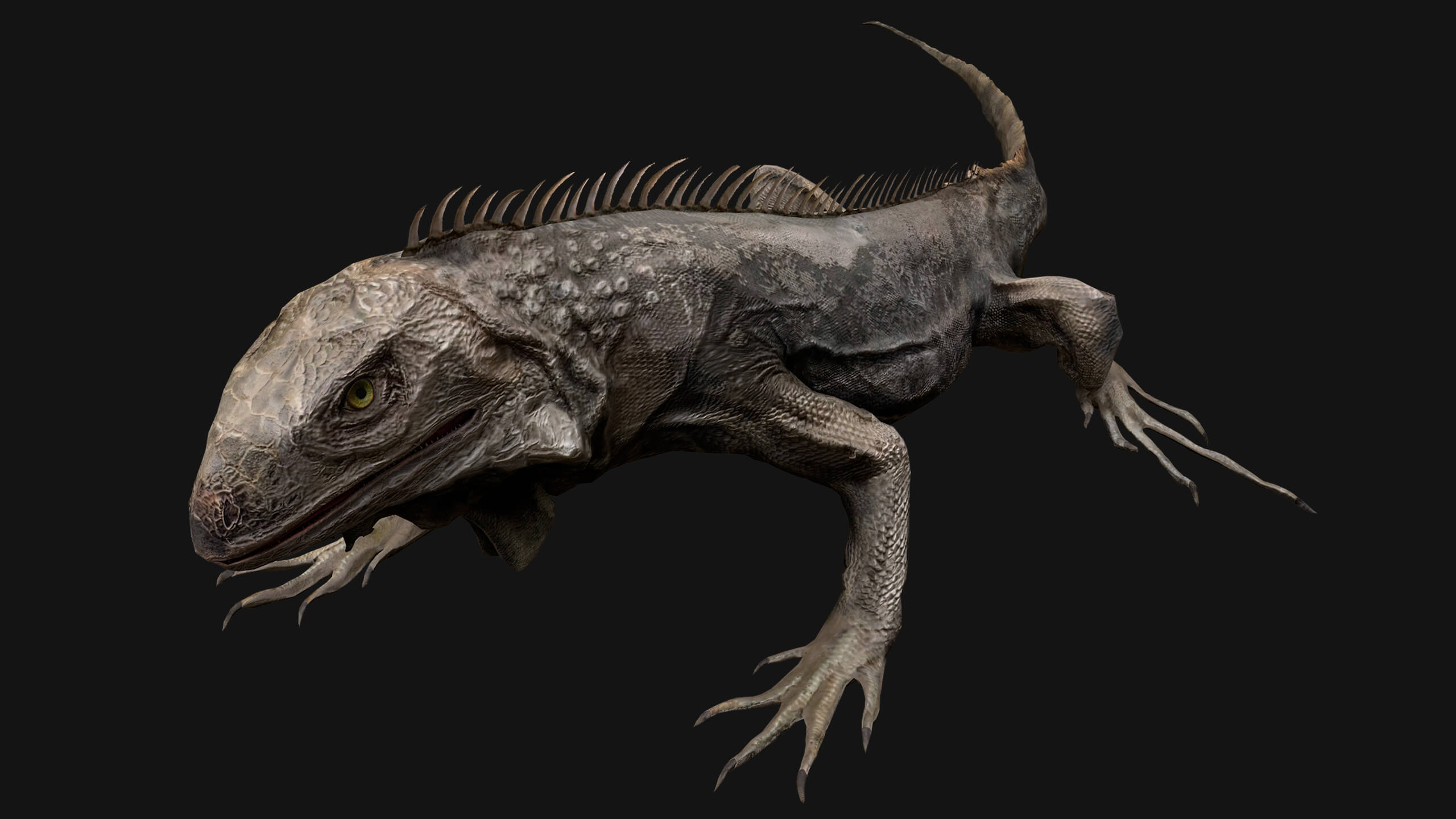 Iguana Reptile Animated - 3D Model by Dereza