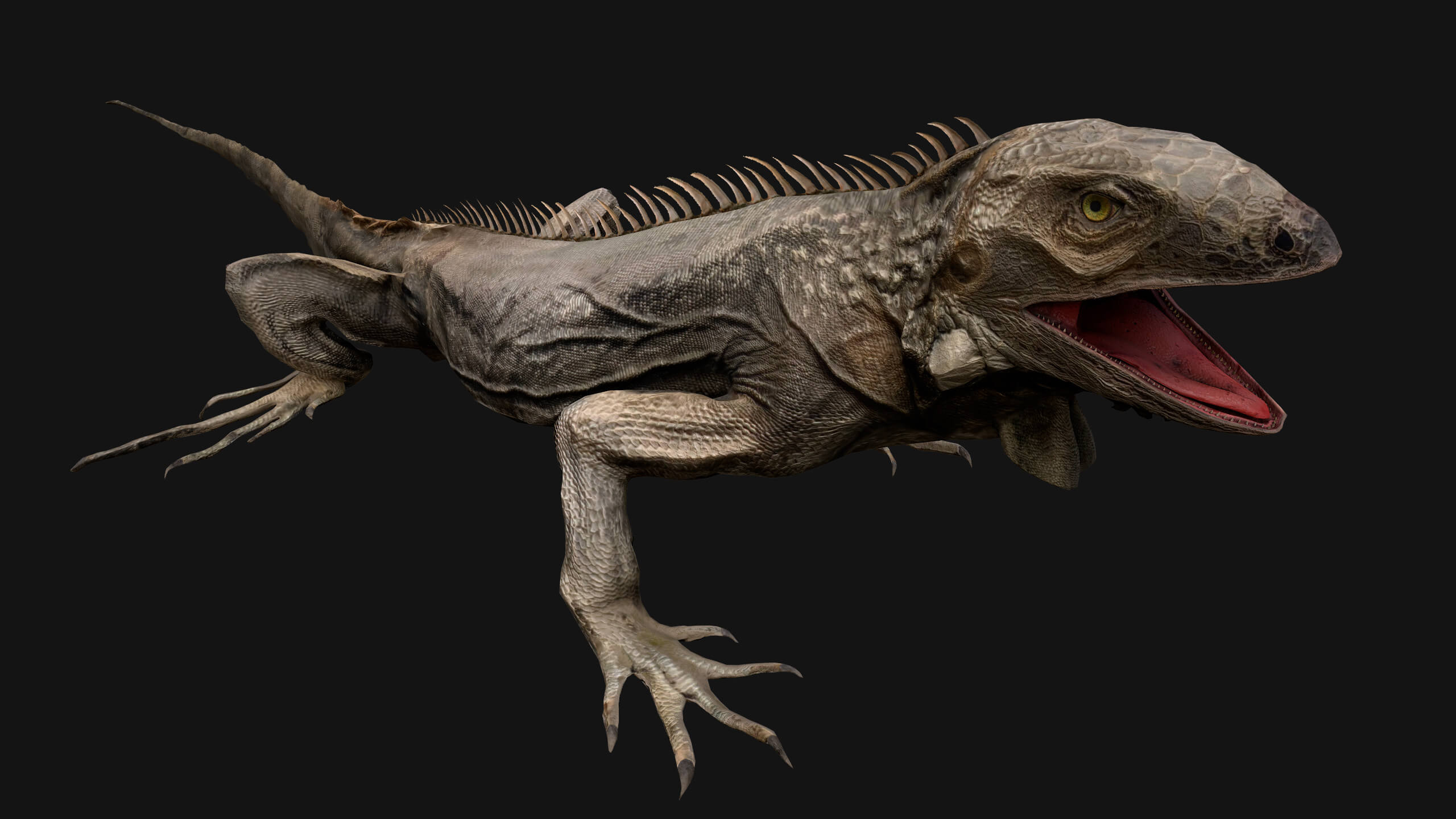 Iguana Reptile Animated - 3D Model by Dereza