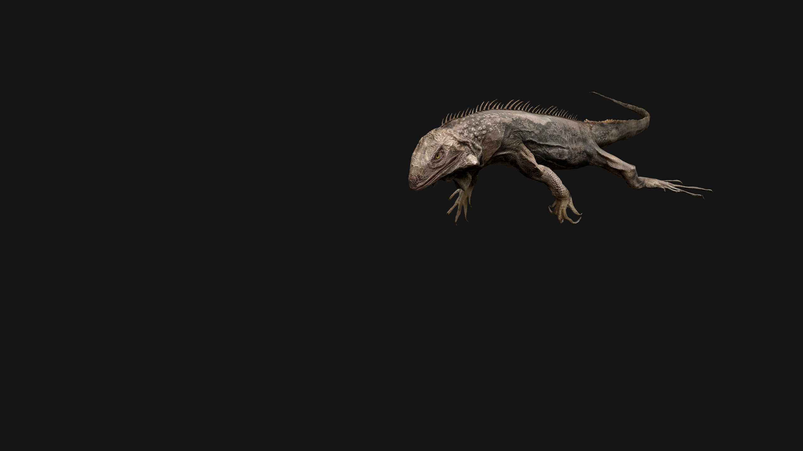 Iguana Reptile Animated - 3D Model by Dereza