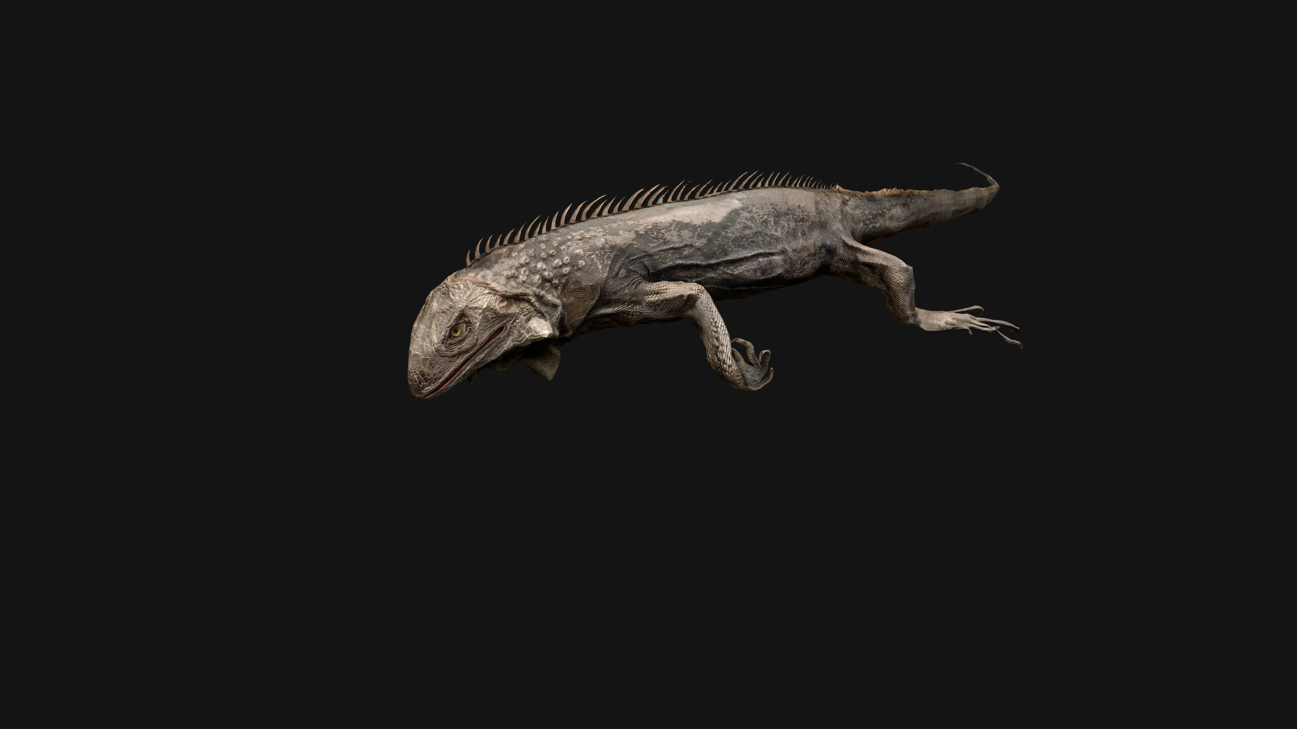 Iguana Reptile Animated - 3D Model by Dereza