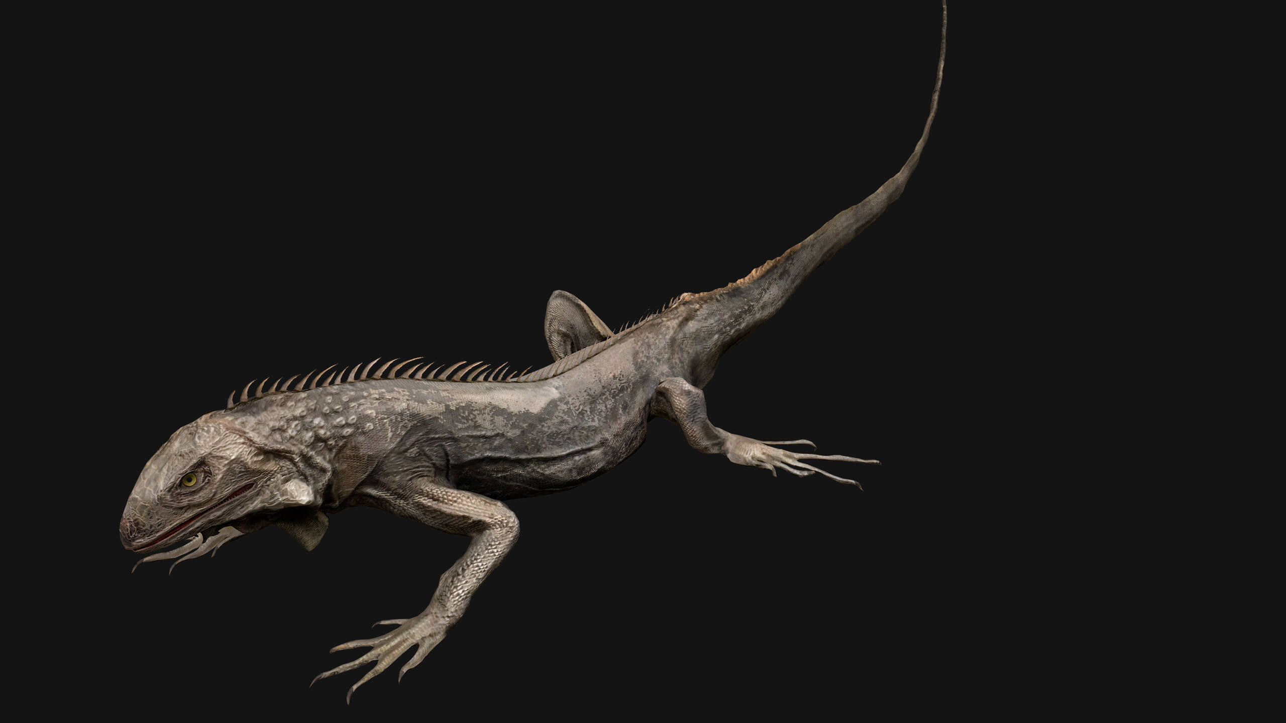 Iguana Reptile Animated - 3D Model by Dereza
